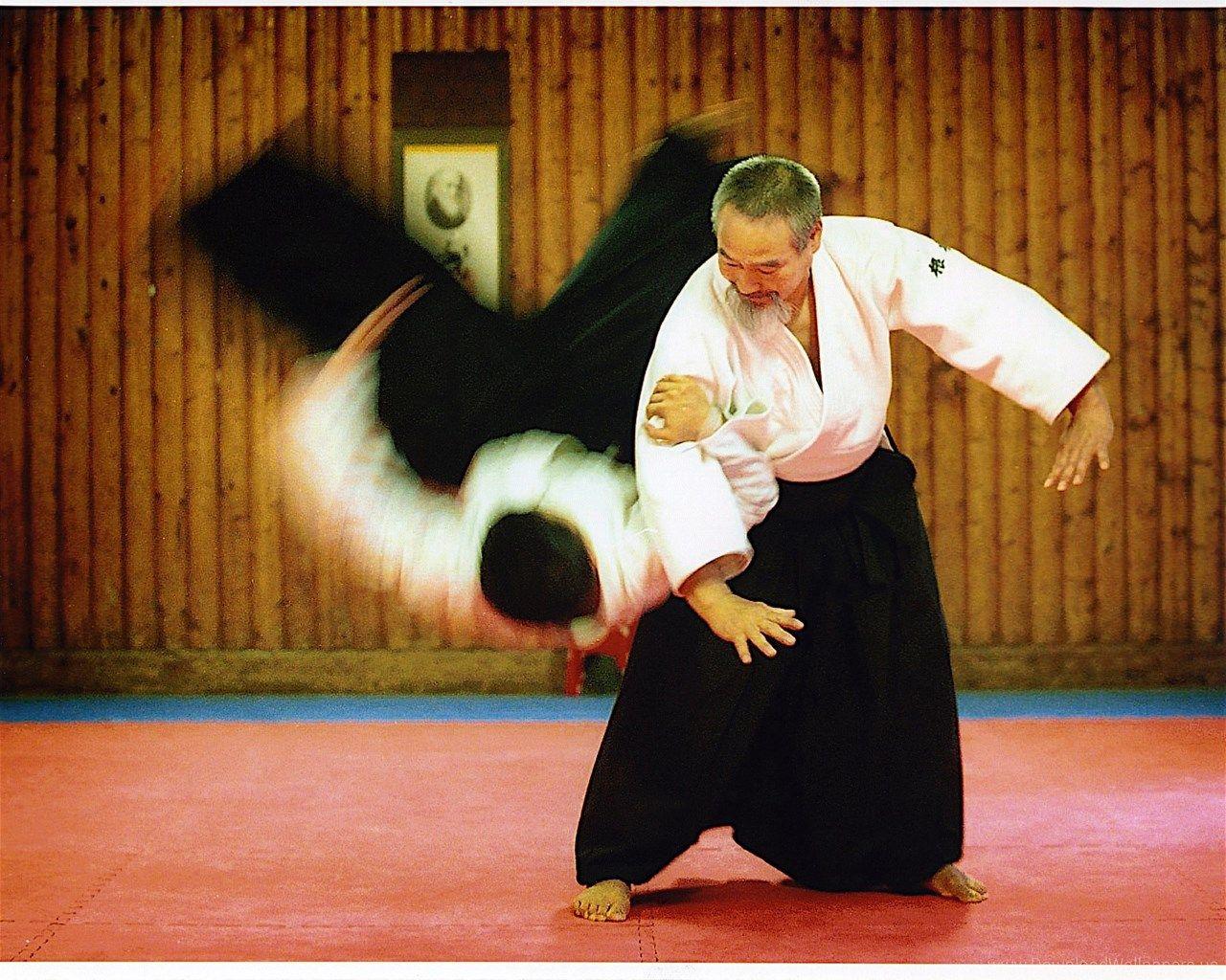 Aikido Wallpapers - Top Free Aikido Backgrounds - WallpaperAccess