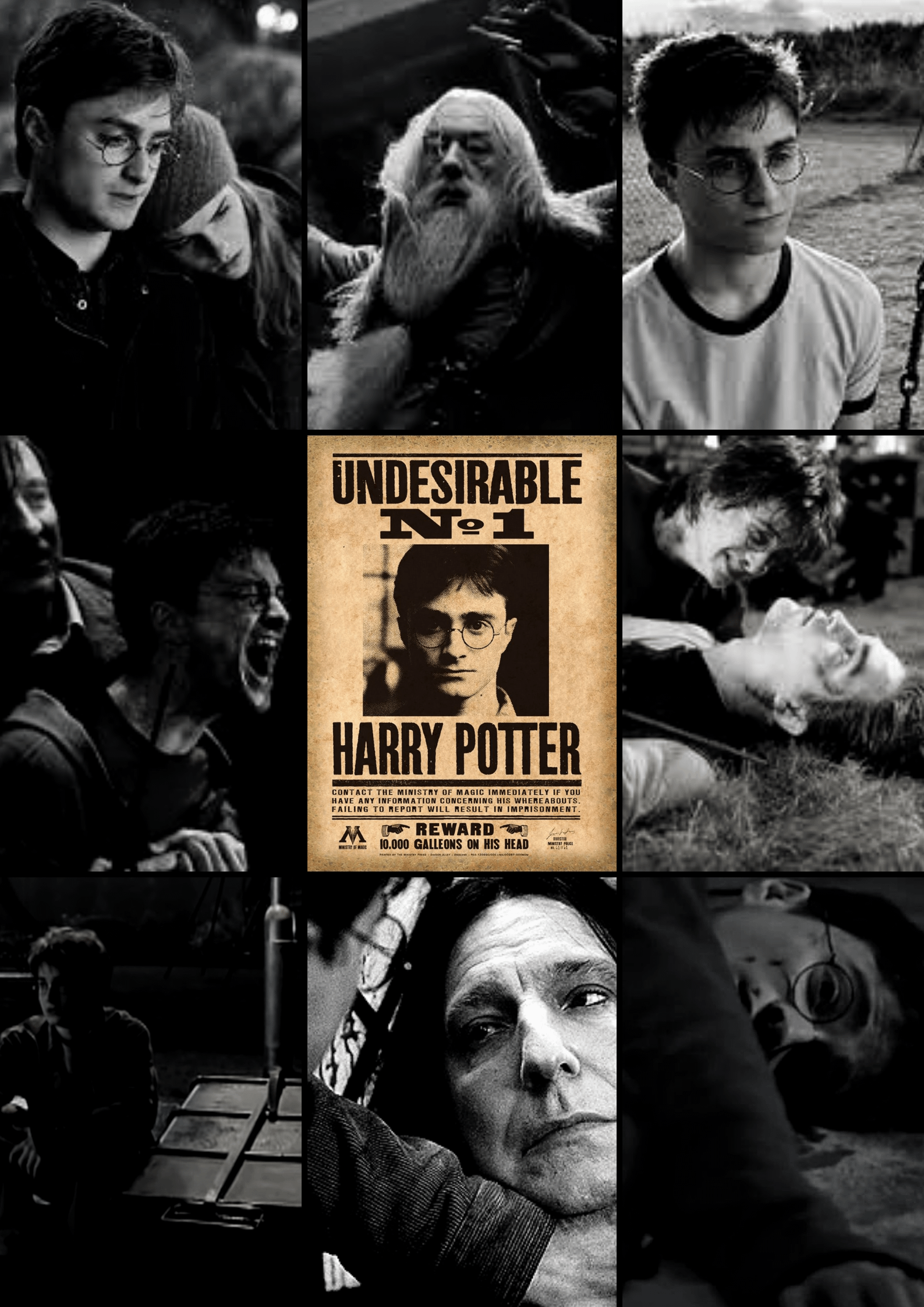 Harry Potter Undesirable Wallpapers - Top Free Harry Potter Undesirable ...