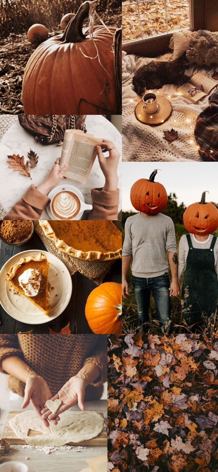 Halloween Cozy Wallpapers - Top Free Halloween Cozy Backgrounds ...