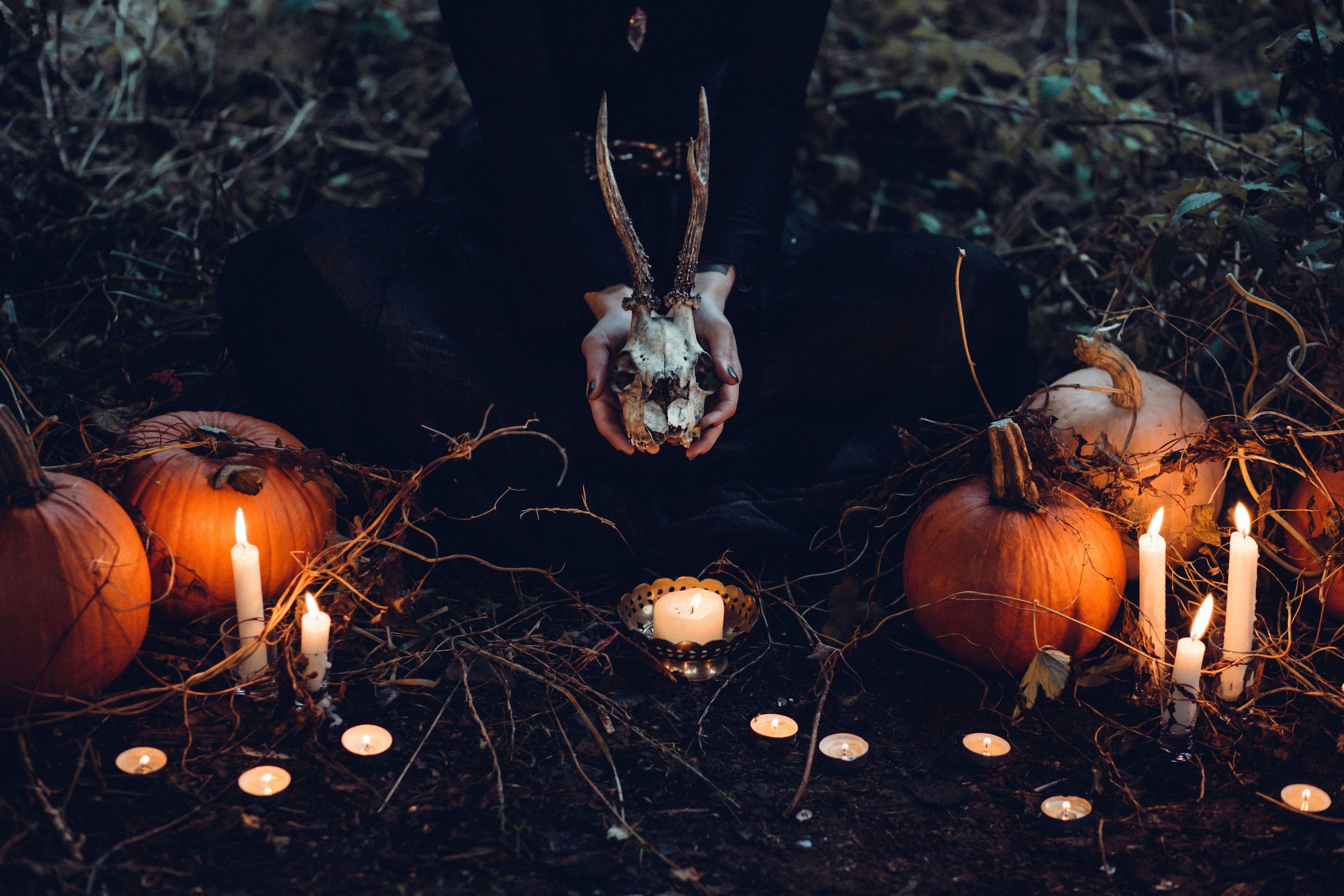 Halloween Cozy Wallpapers - Top Free Halloween Cozy Backgrounds ...