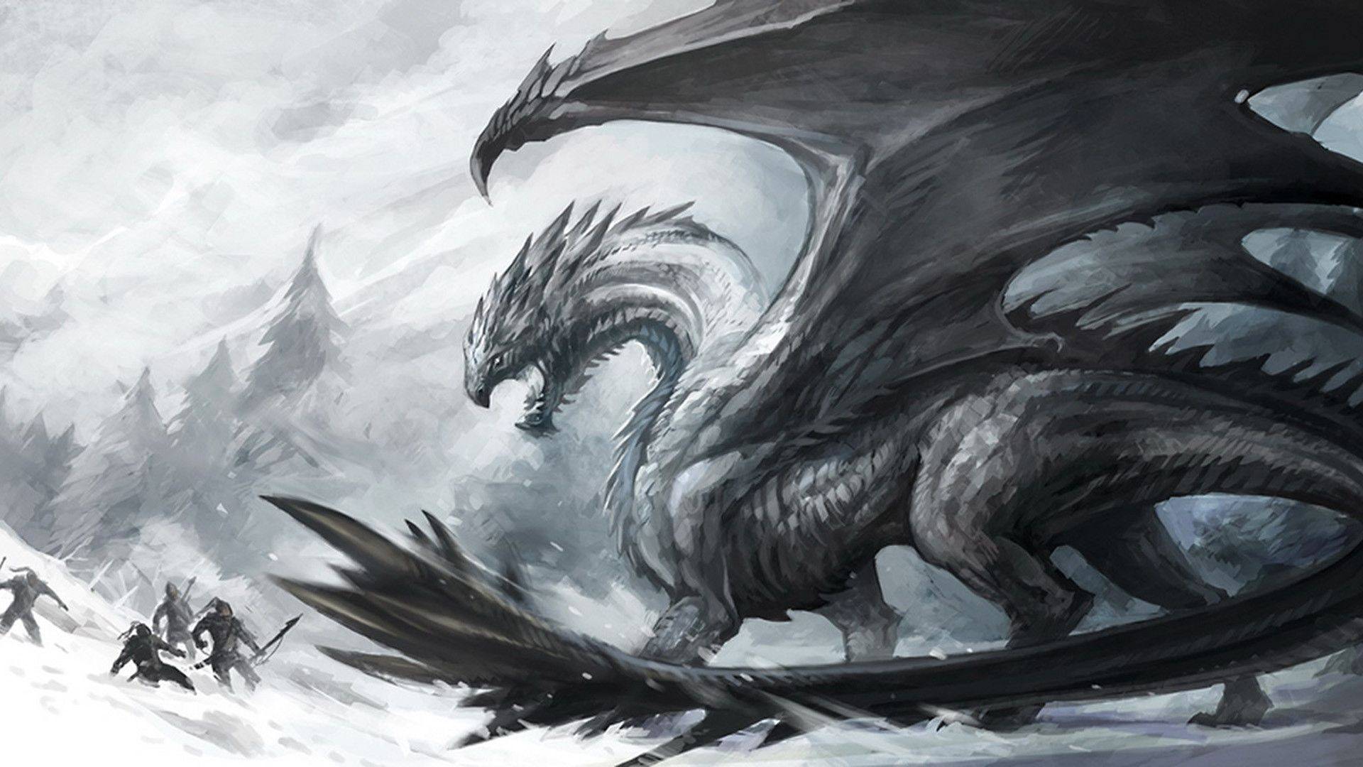 Beautiful Dragon Wallpapers - Top Free Beautiful Dragon Backgrounds ...