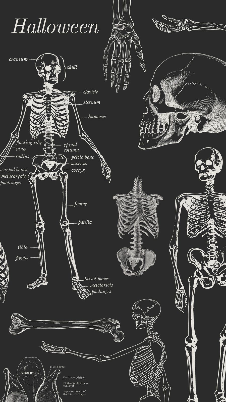 Y2k Halloween Wallpapers - Top Free Y2k Halloween Backgrounds ...