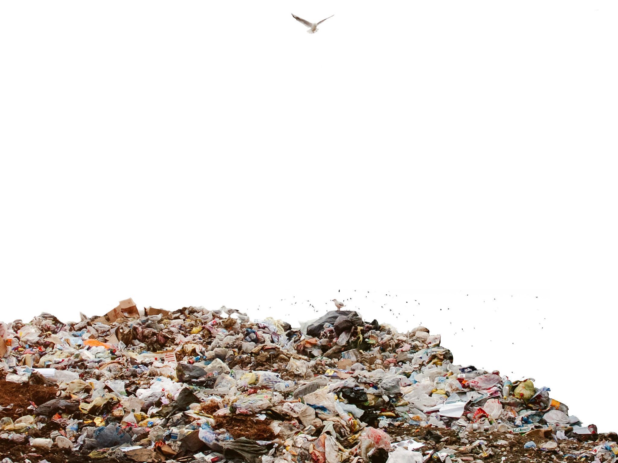 Food Waste Wallpapers - Top Free Food Waste Backgrounds - WallpaperAccess