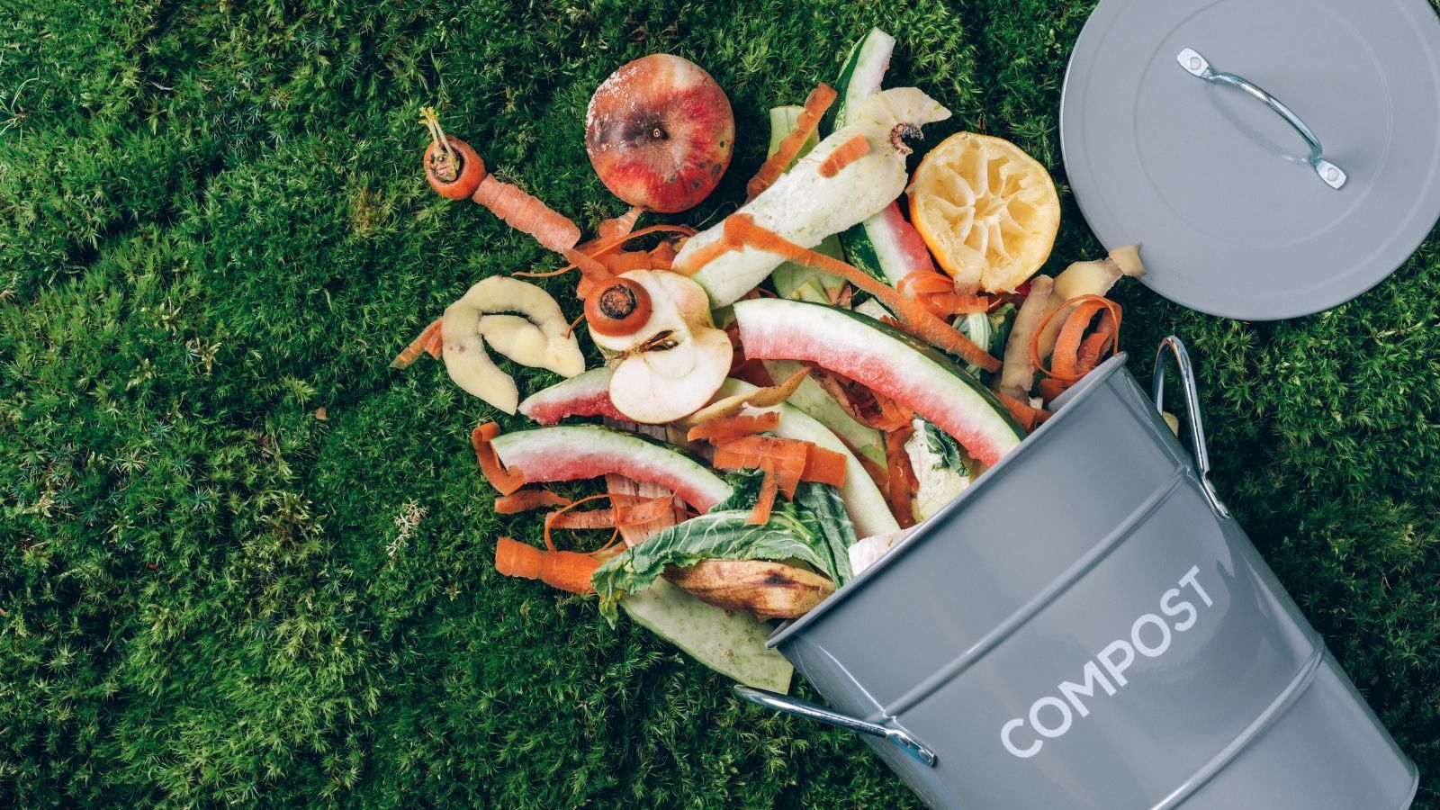 Food Waste Wallpapers Top Free Food Waste Backgrounds WallpaperAccess Food Waste Wallpapers Top Free Food Waste Backgrounds WallpaperAccess