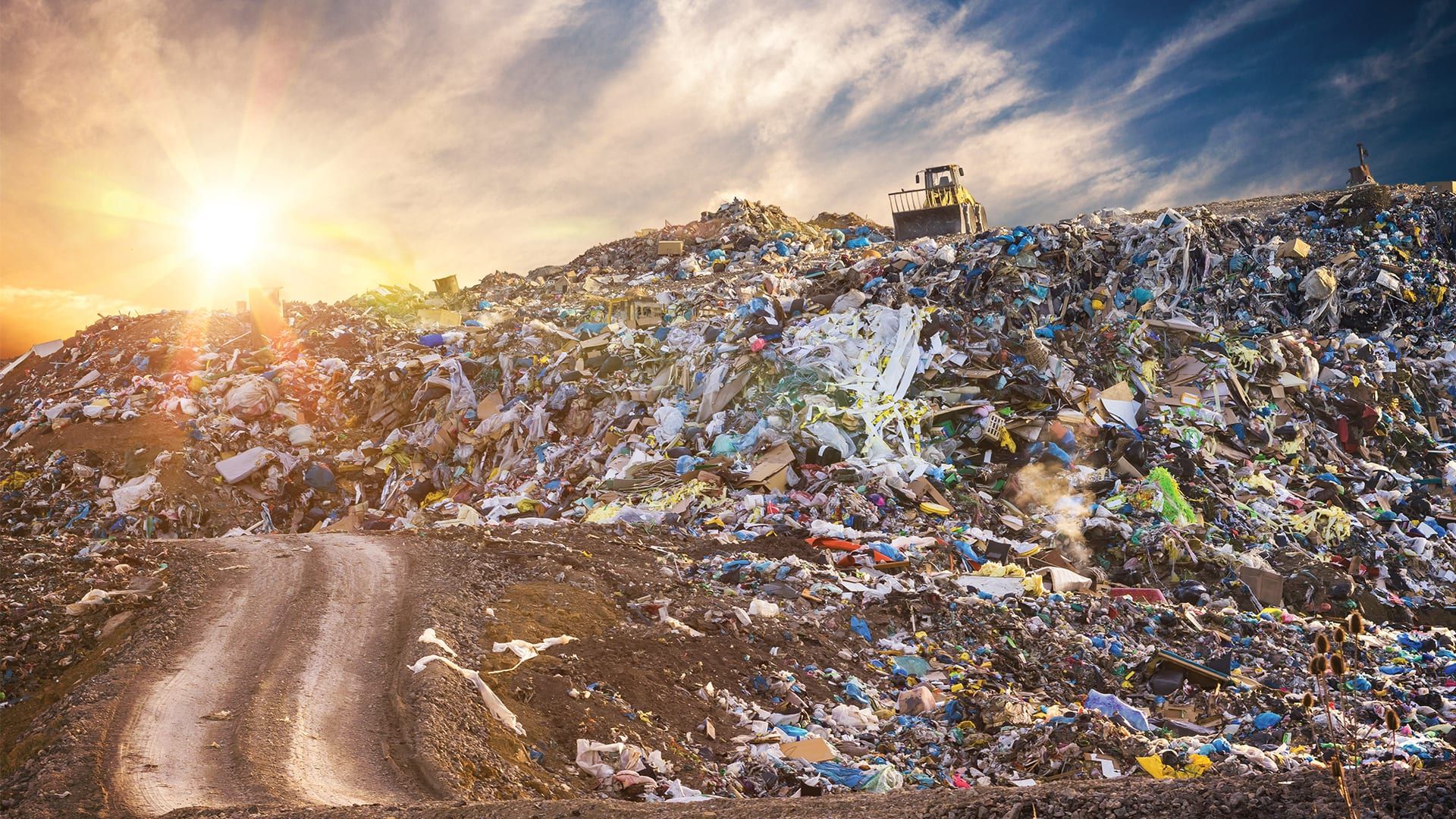 Food Waste Wallpapers - Top Free Food Waste Backgrounds - WallpaperAccess