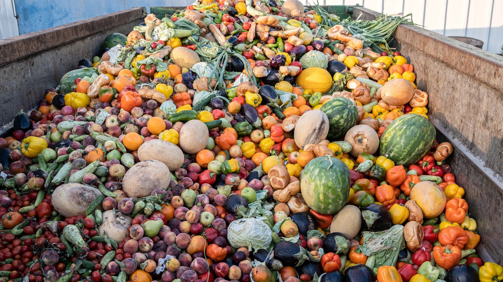 Food Waste Wallpapers - Top Free Food Waste Backgrounds - WallpaperAccess