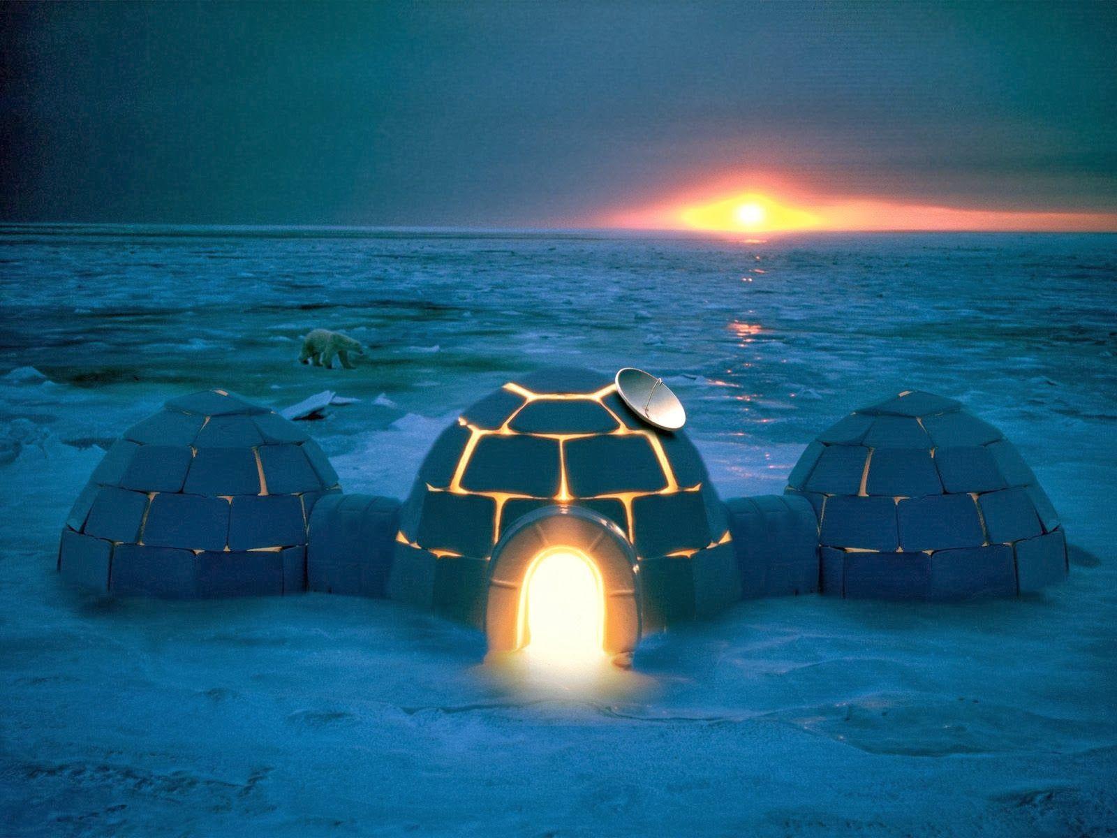 Antarctica Wallpapers - Top Free Antarctica Backgrounds - WallpaperAccess