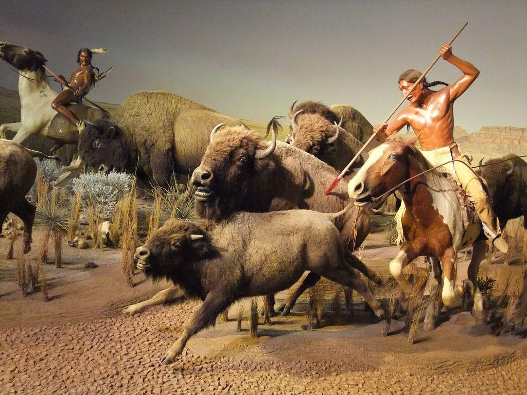 Native American Buffalo Wallpapers - Top Free Native American Buffalo ...