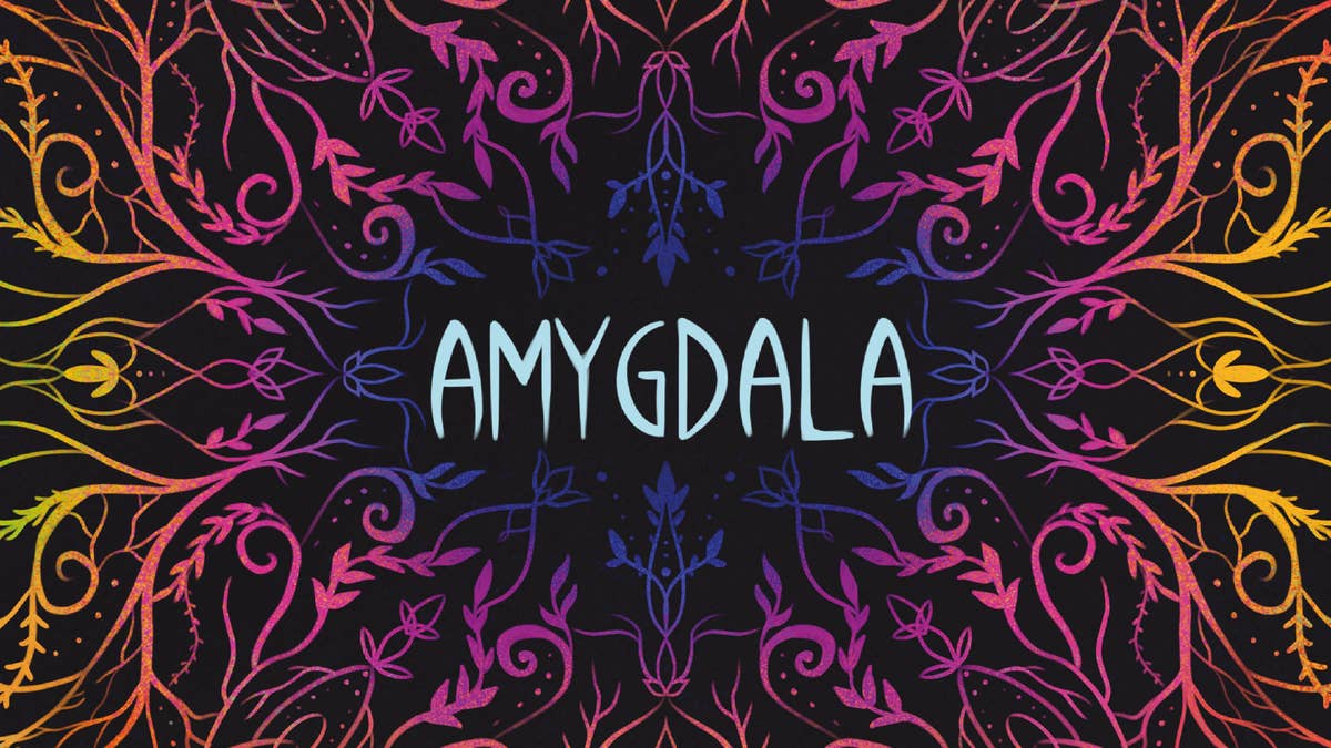 Amygdala Wallpapers - Top Free Amygdala Backgrounds - WallpaperAccess