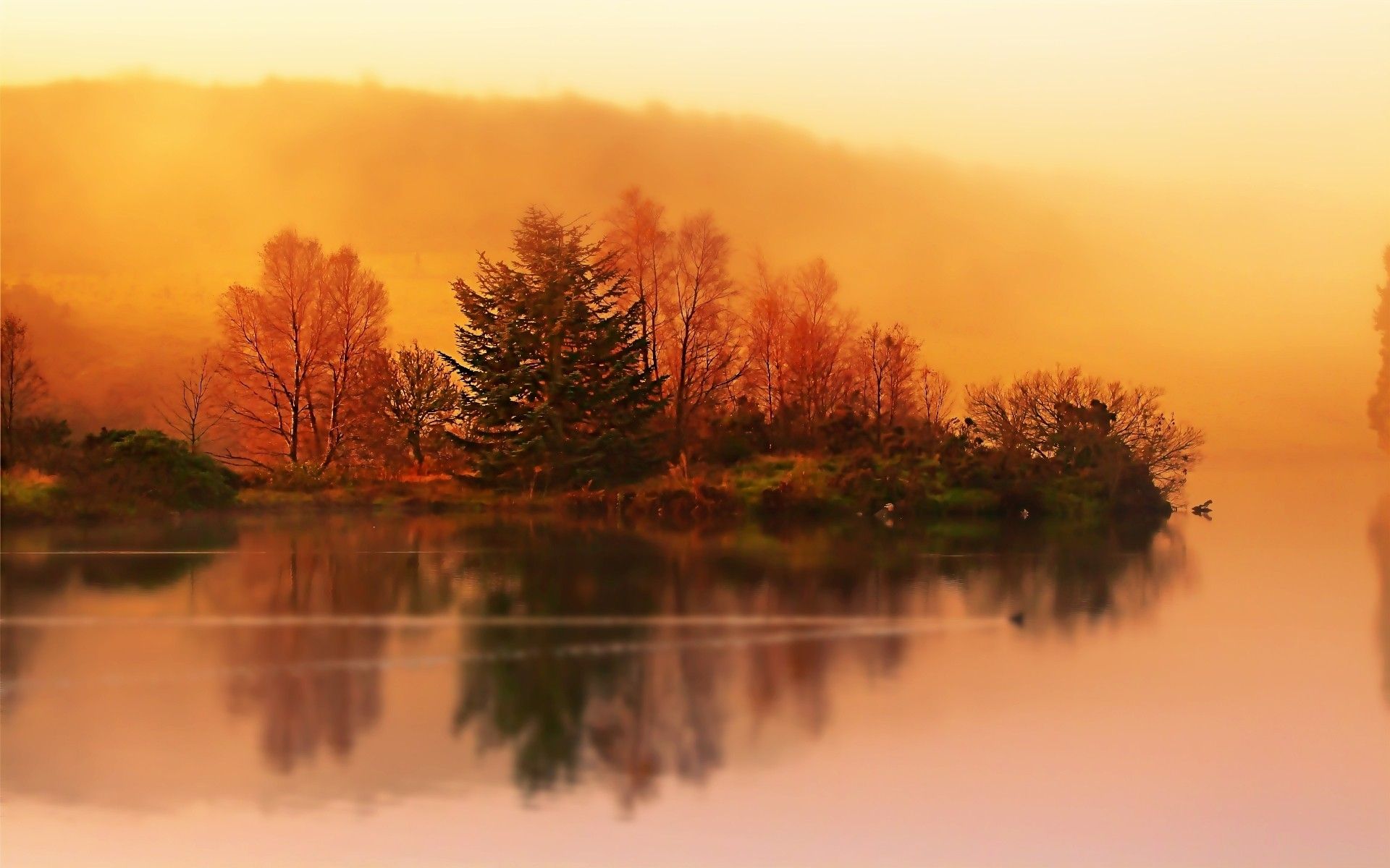 Late Fall Wallpapers - Top Free Late Fall Backgrounds - WallpaperAccess