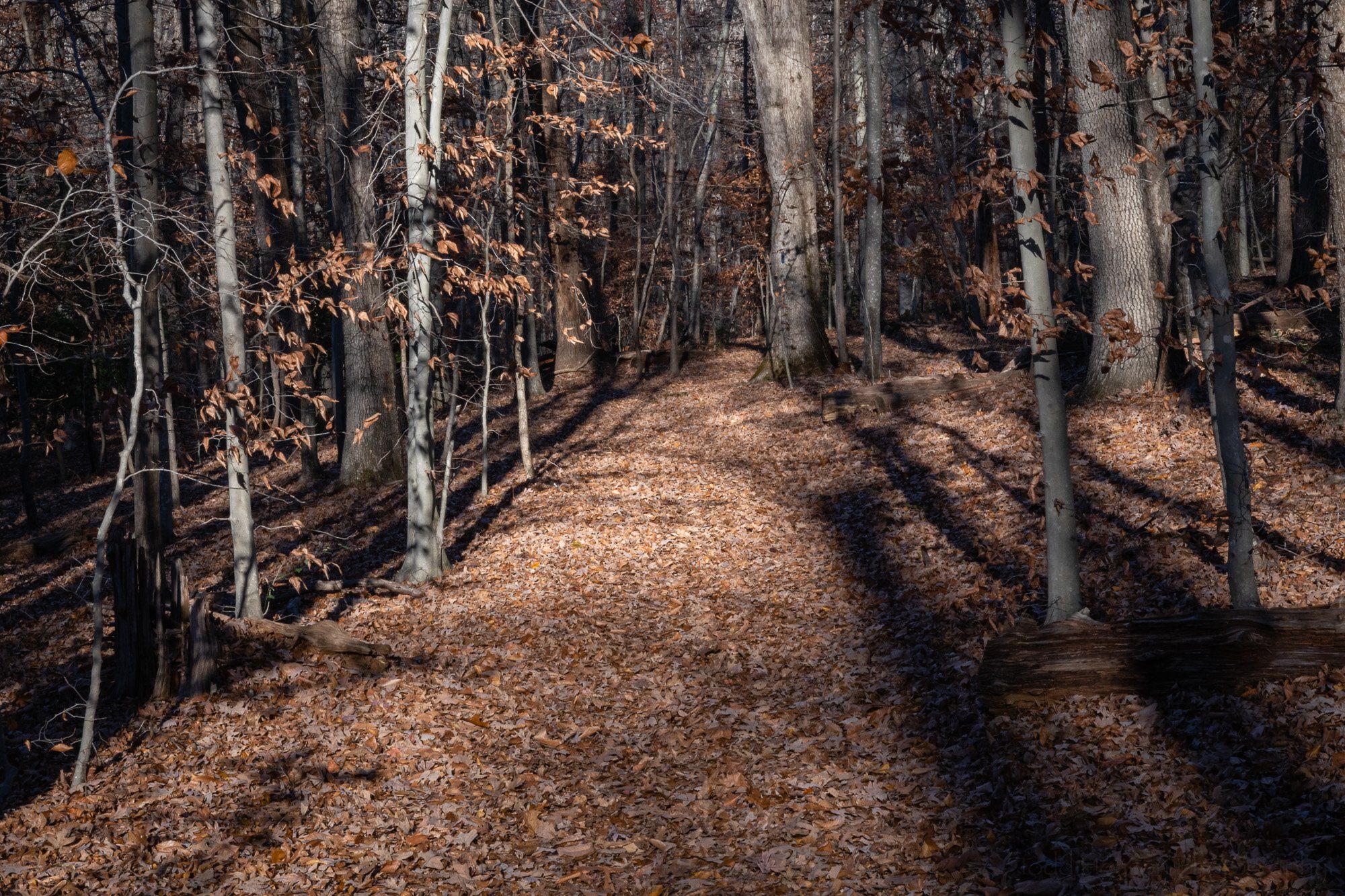 Late Fall Wallpapers - Top Free Late Fall Backgrounds - WallpaperAccess