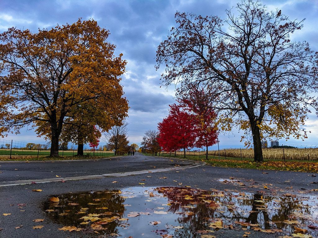 Late Fall Wallpapers - Top Free Late Fall Backgrounds - WallpaperAccess