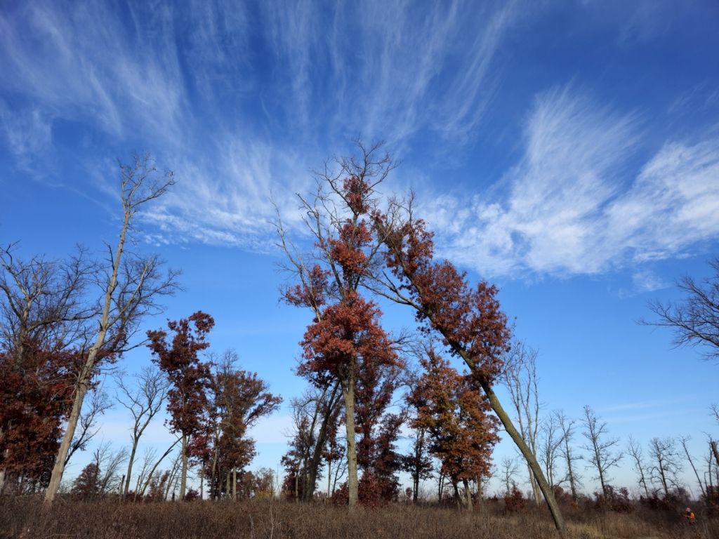 Late Fall Wallpapers - Top Free Late Fall Backgrounds - WallpaperAccess