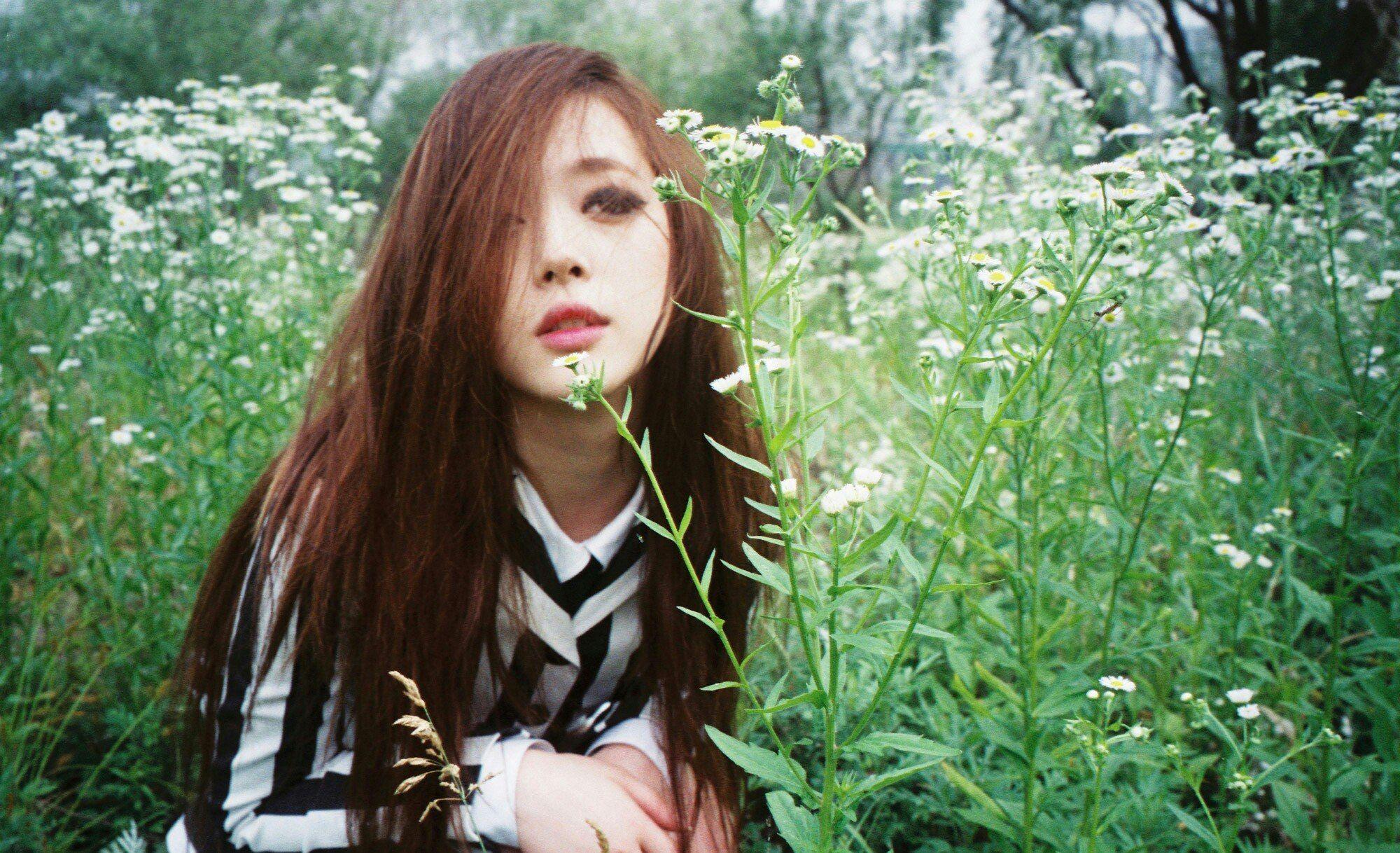 Sulli Wallpapers - Top Free Sulli Backgrounds - WallpaperAccess