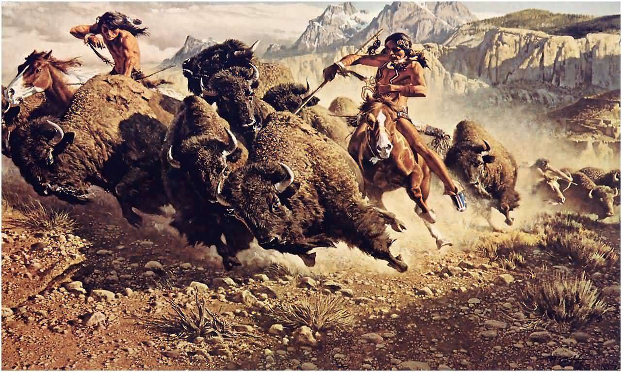 Native American Buffalo Wallpapers - Top Free Native American Buffalo ...