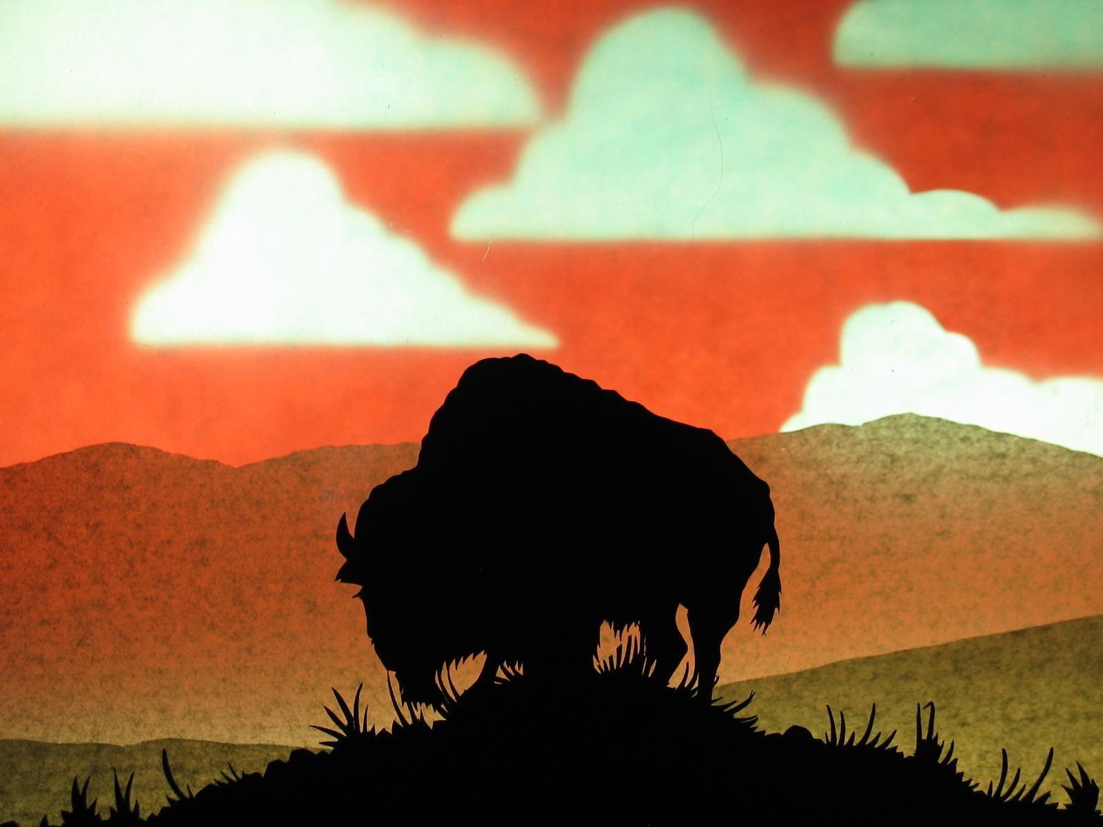 Native American Buffalo Wallpapers - Top Free Native American Buffalo ...