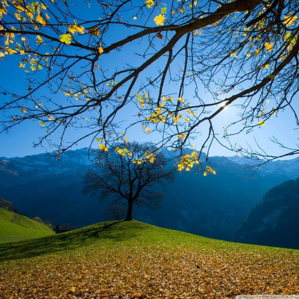 Switzerland Autumn Wallpapers - Top Free Switzerland Autumn Backgrounds ...