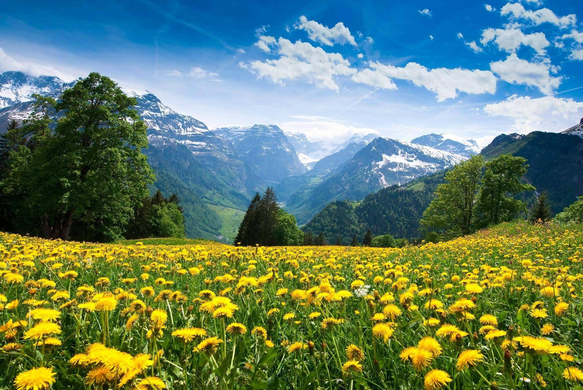 Switzerland Landscape Wallpapers - Top Free Switzerland Landscape ...