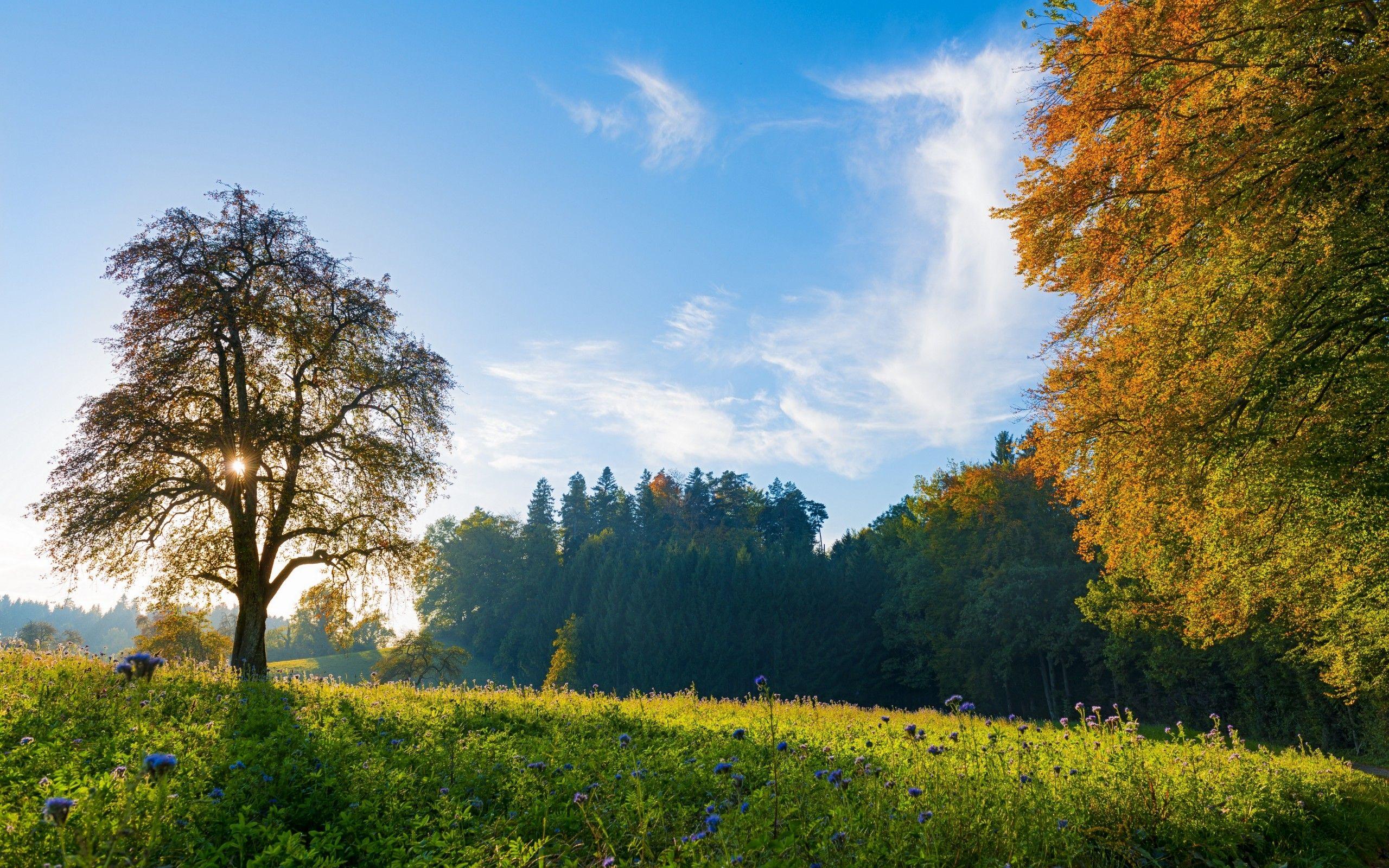 Switzerland Autumn Wallpapers - Top Free Switzerland Autumn Backgrounds ...