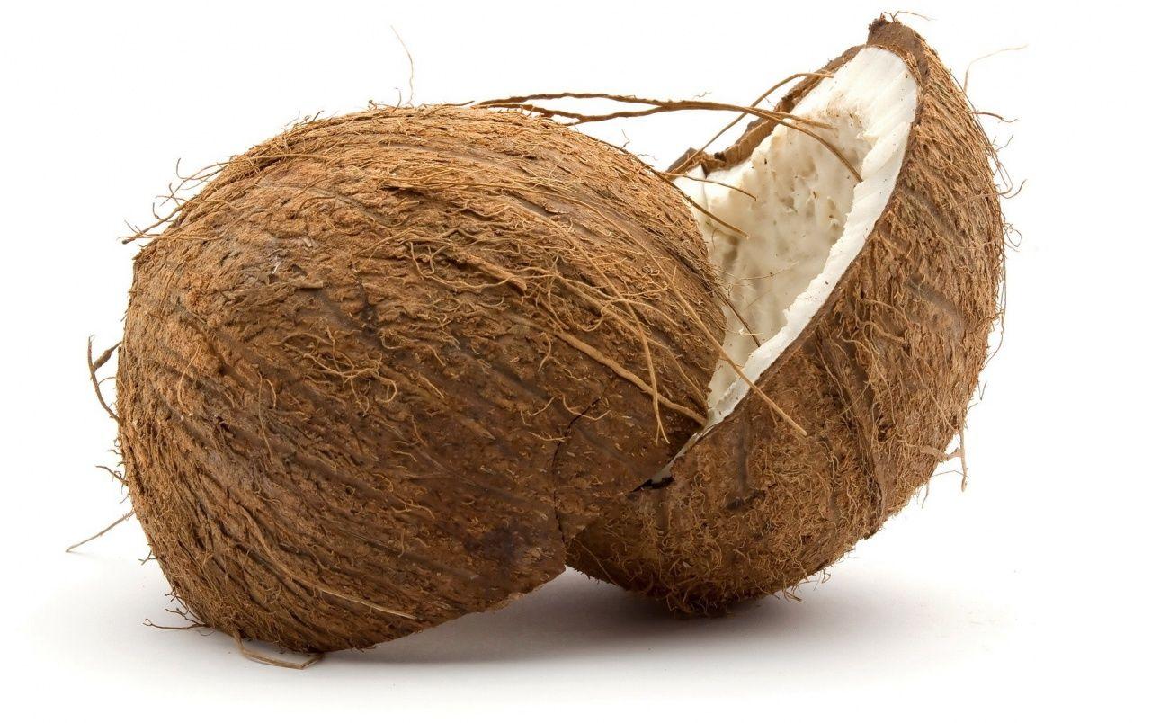 Coconut Wallpapers - Top Free Coconut Backgrounds - WallpaperAccess