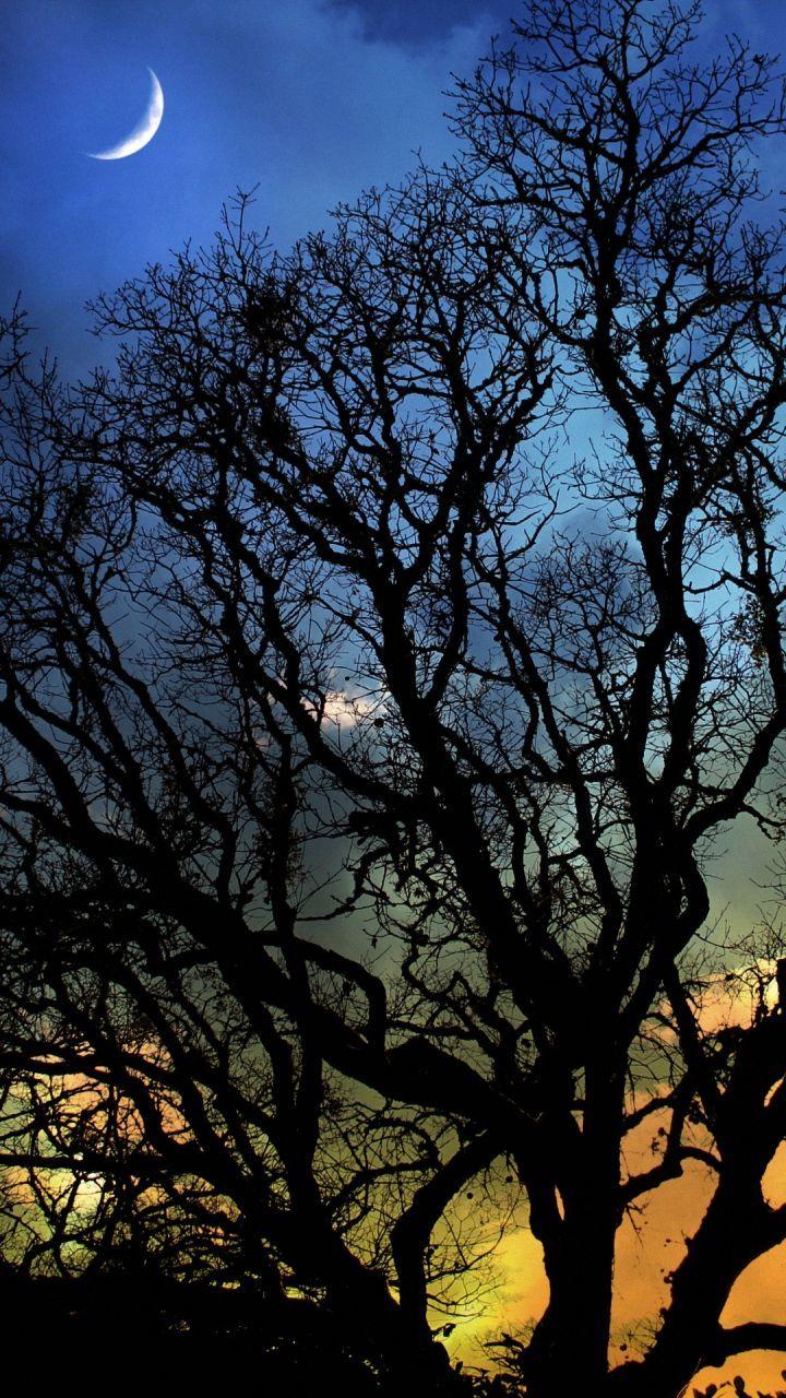 720×1280 Wallpapers - Top Free 720×1280 Backgrounds - WallpaperAccess