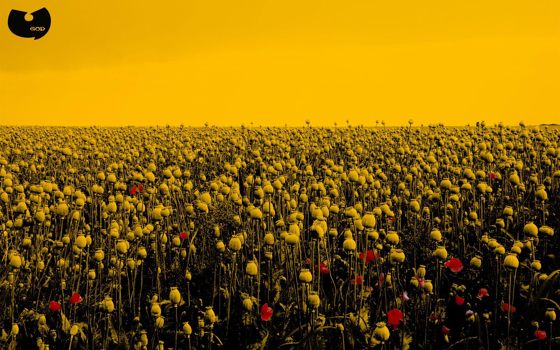 Wu-Tang Wallpapers - Top Free Wu-Tang Backgrounds - WallpaperAccess