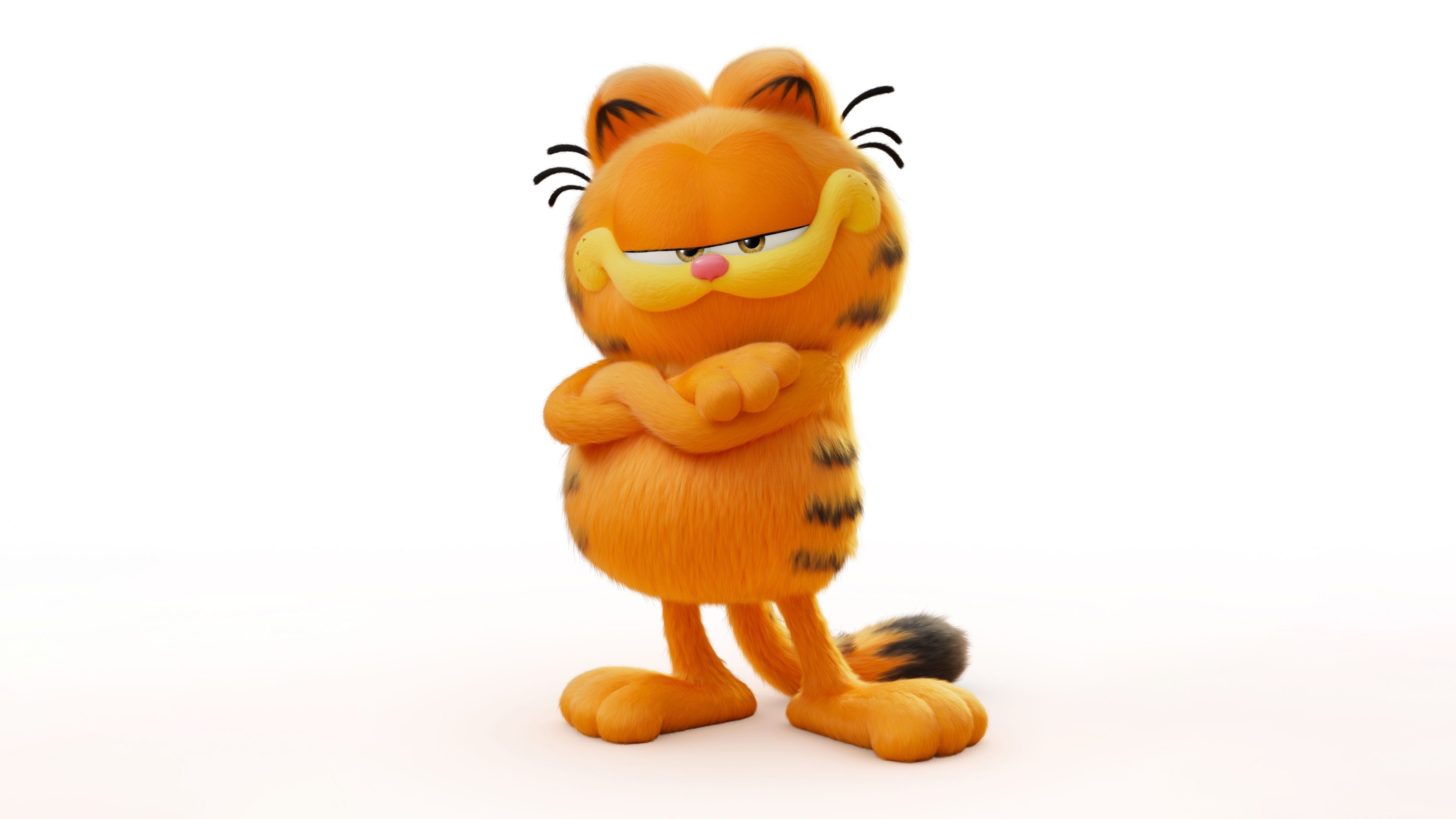 The Garfield Movie Wallpapers - Top Free The Garfield Movie Backgrounds ...