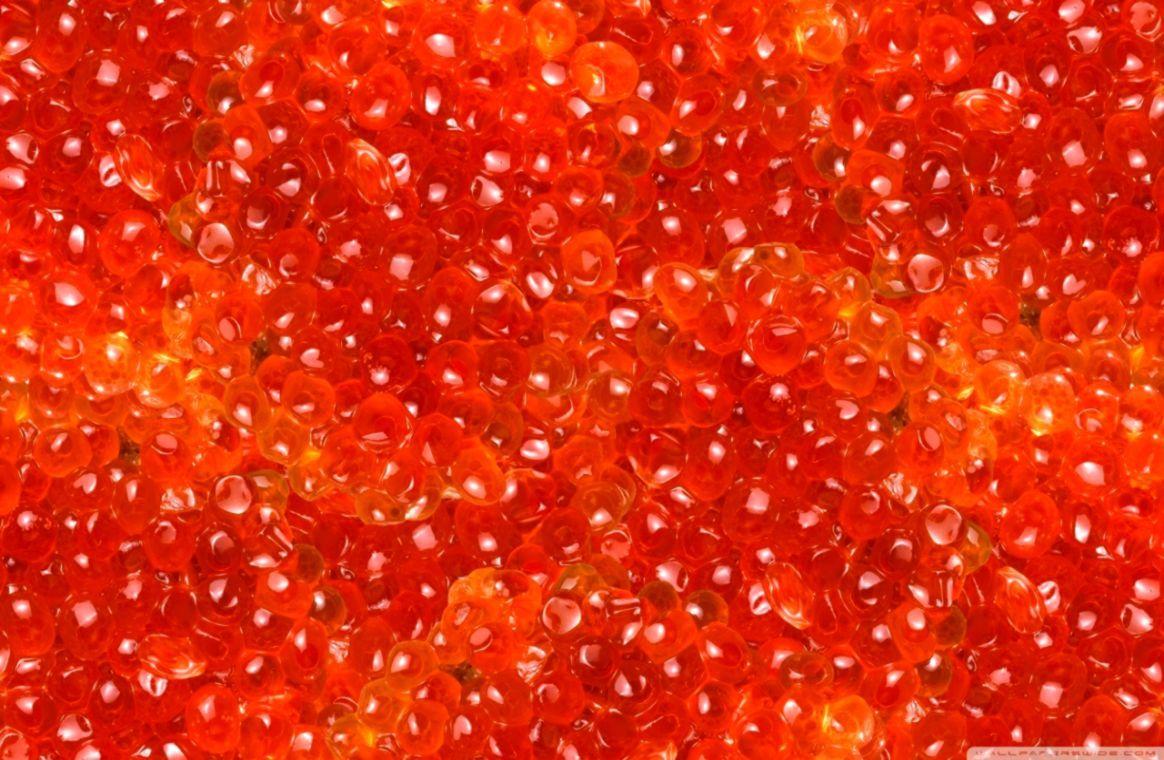 Salmon Wallpapers - Top Free Salmon Backgrounds - WallpaperAccess