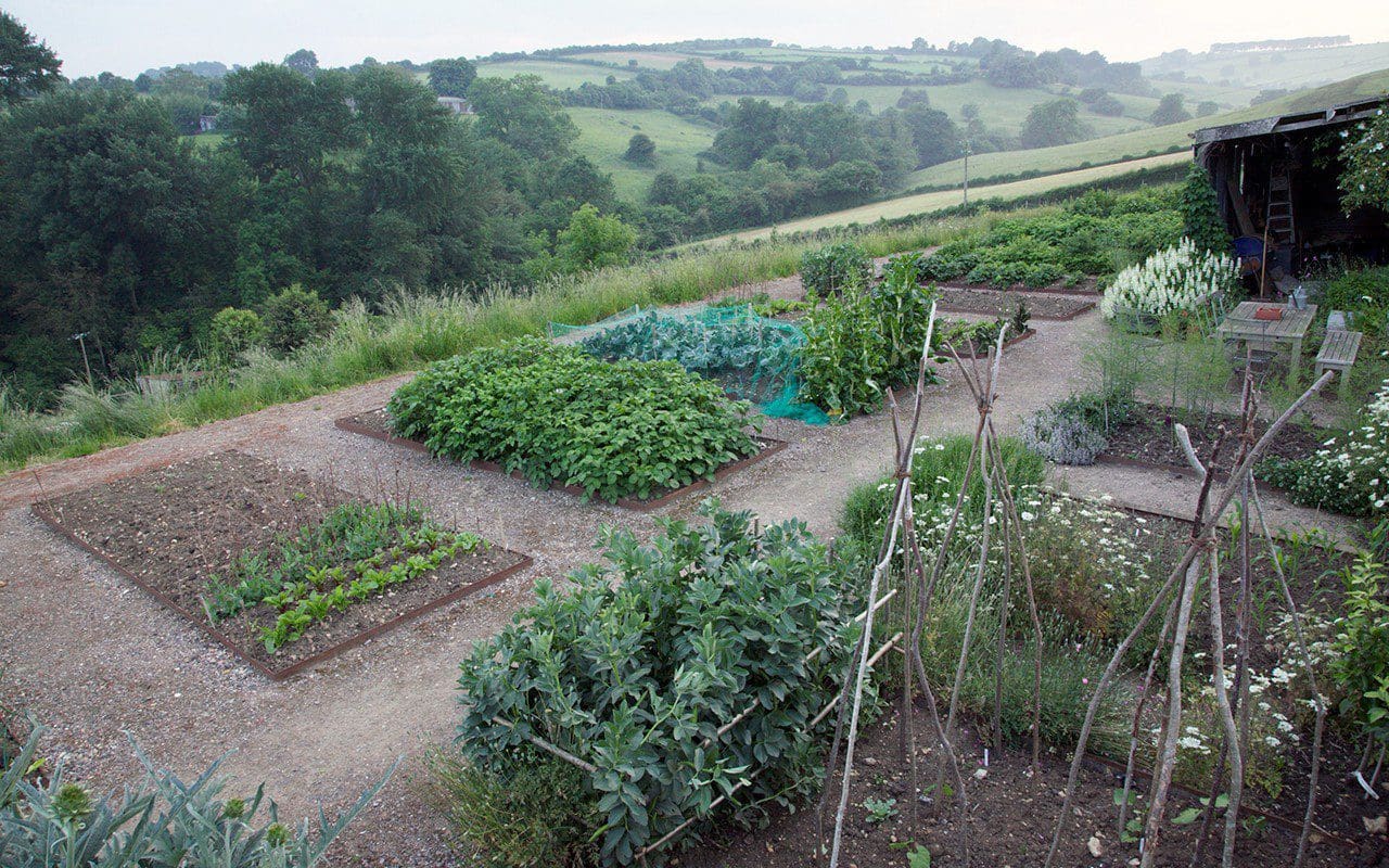 Vegetable Field Wallpapers - Top Free Vegetable Field Backgrounds ...