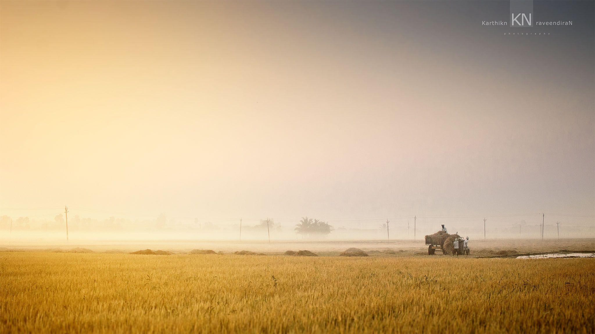 Tamil Nadu Wallpapers - Top Free Tamil Nadu Backgrounds - WallpaperAccess