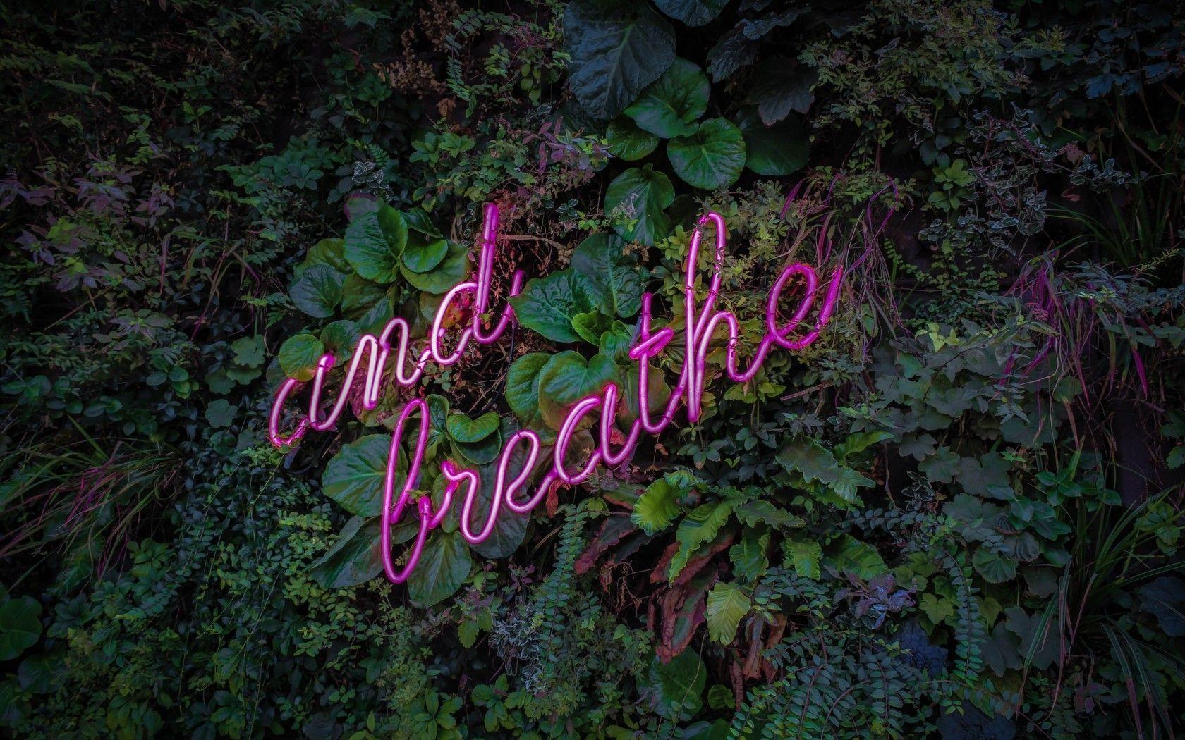 Breathe Wallpapers - Top Free Breathe Backgrounds - WallpaperAccess