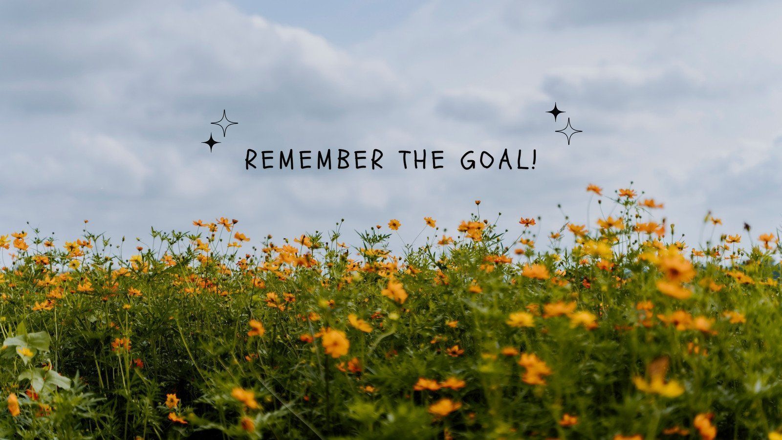 Remember The Goal Wallpapers - Top Free Remember The Goal Backgrounds ...