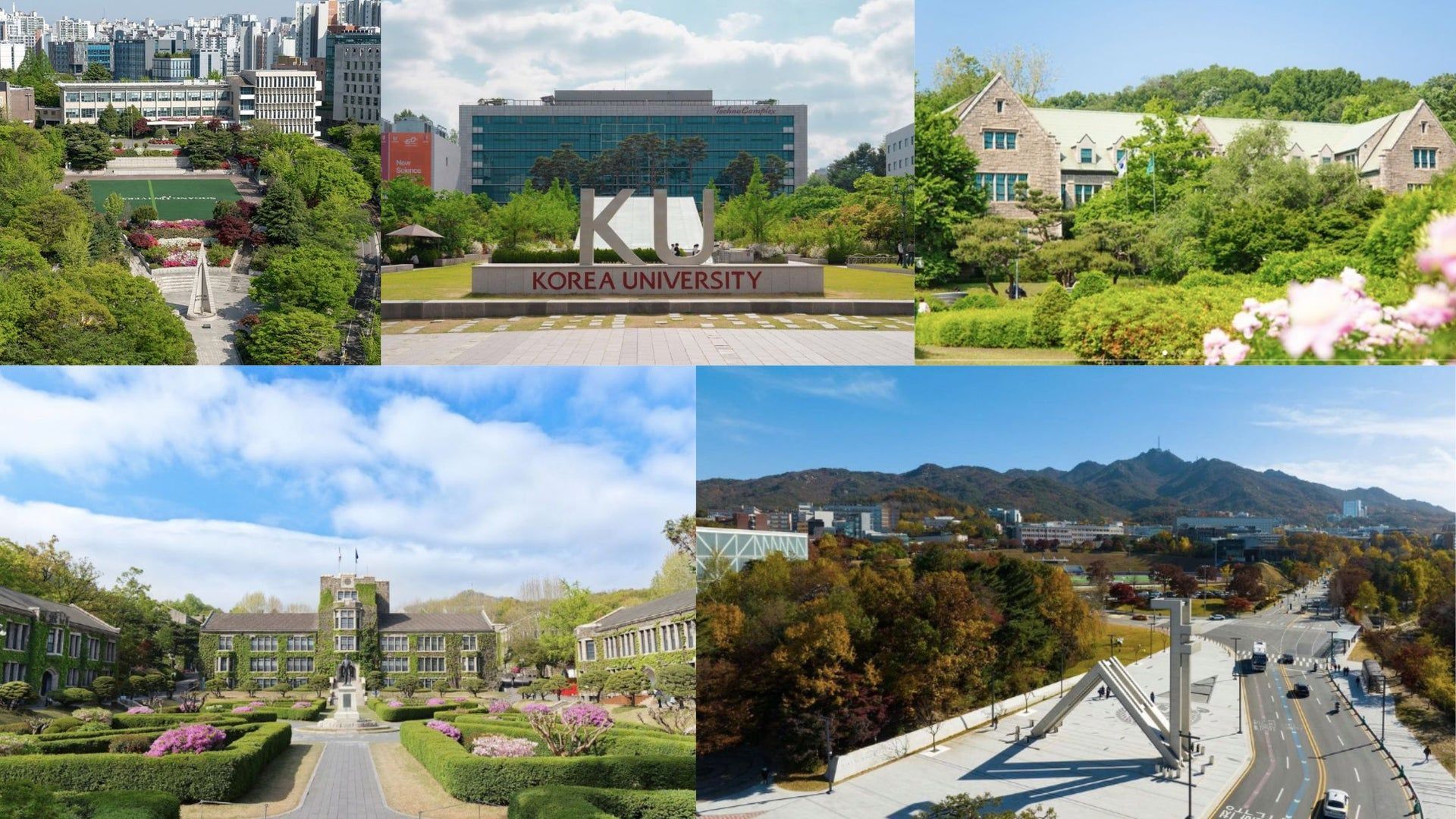 Korea University Wallpapers - Top Free Korea University Backgrounds ...