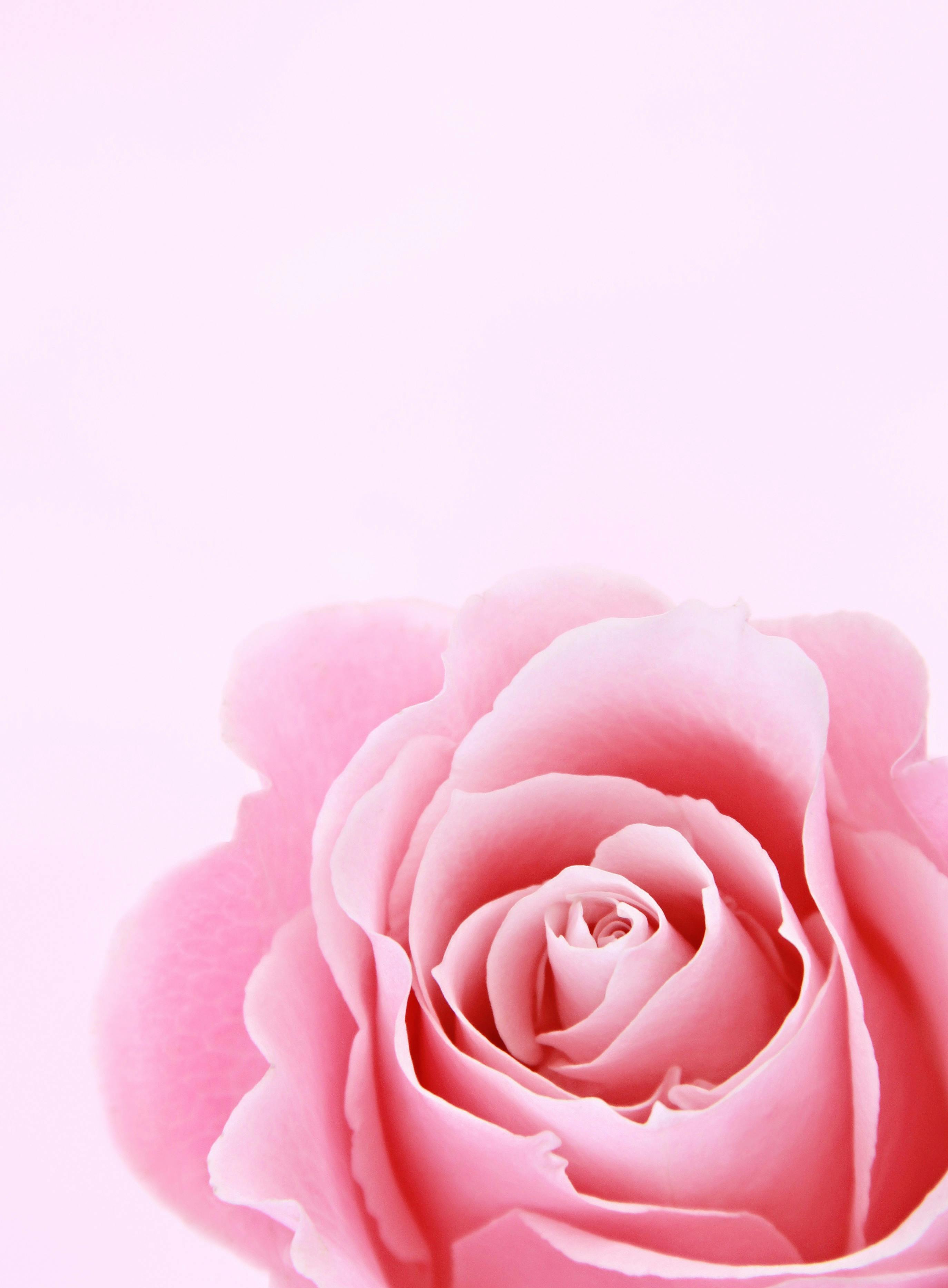 Pink Lockscreen Wallpapers - Top Free Pink Lockscreen Backgrounds ...