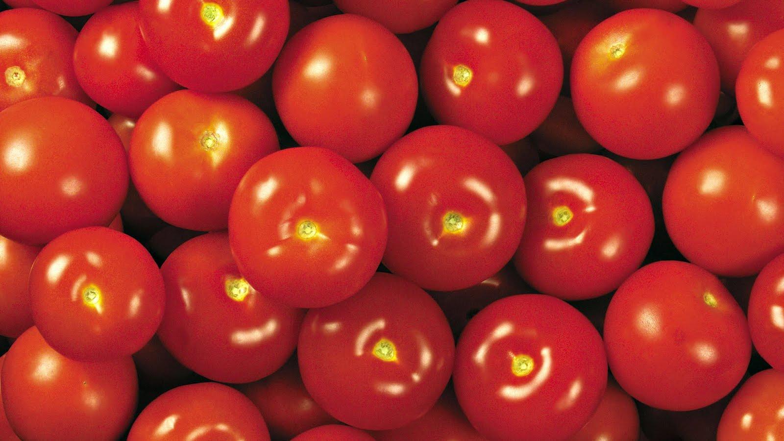 Tomato Wallpapers - Top Free Tomato Backgrounds - WallpaperAccess
