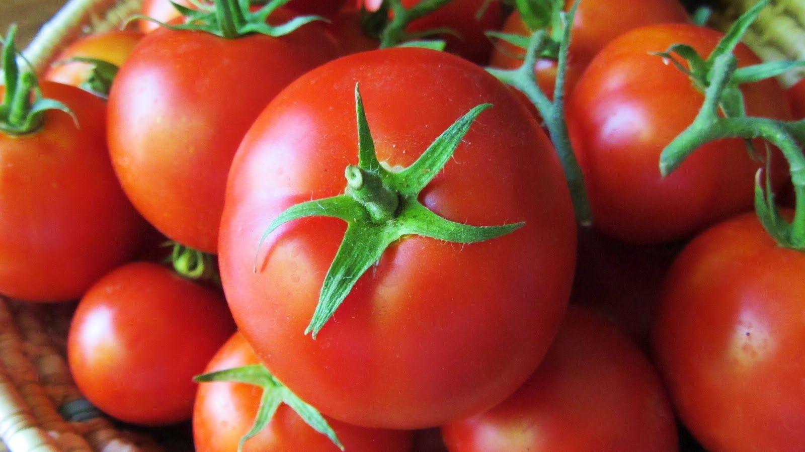 Tomato Wallpapers - Top Free Tomato Backgrounds - WallpaperAccess