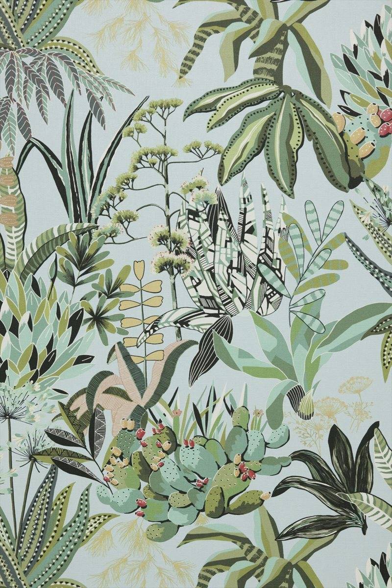 Agave Wallpapers - Top Free Agave Backgrounds - WallpaperAccess