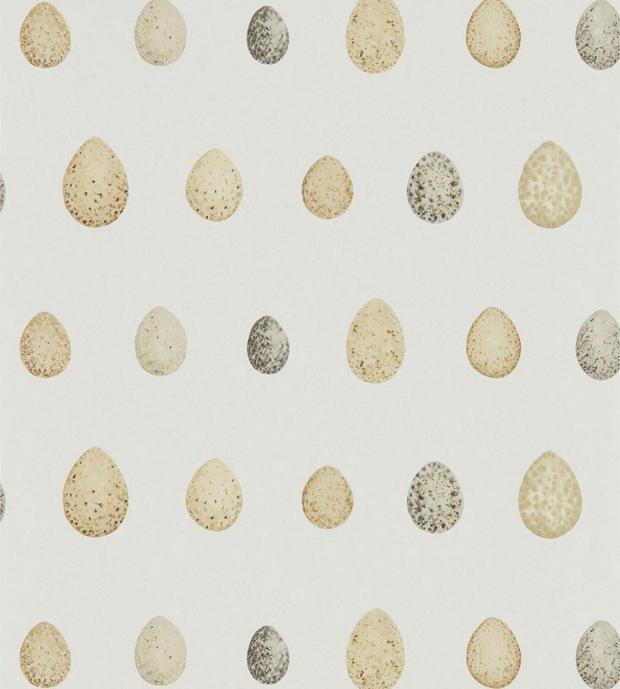 Egg Wallpapers - Top Free Egg Backgrounds - WallpaperAccess