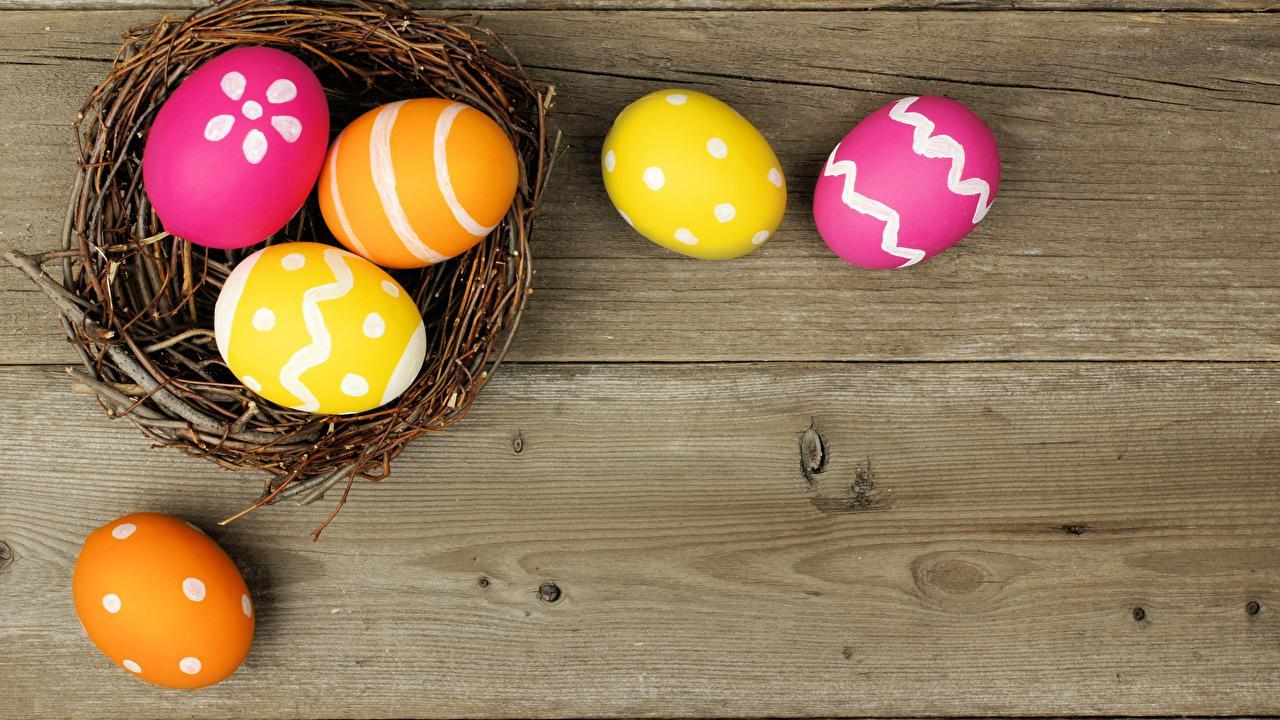 Egg Wallpapers - Top Free Egg Backgrounds - WallpaperAccess