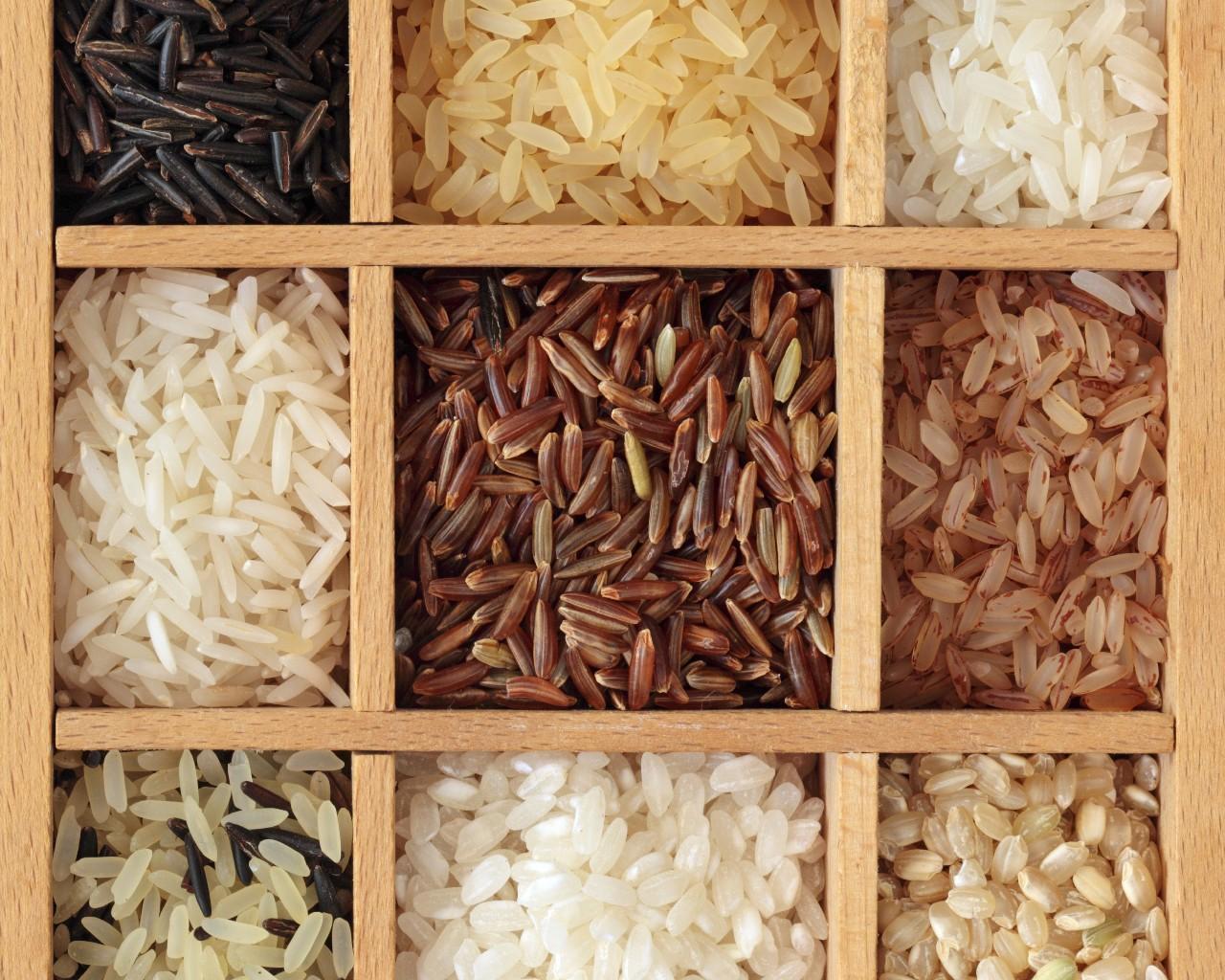 Rice Wallpapers - Top Free Rice Backgrounds - WallpaperAccess