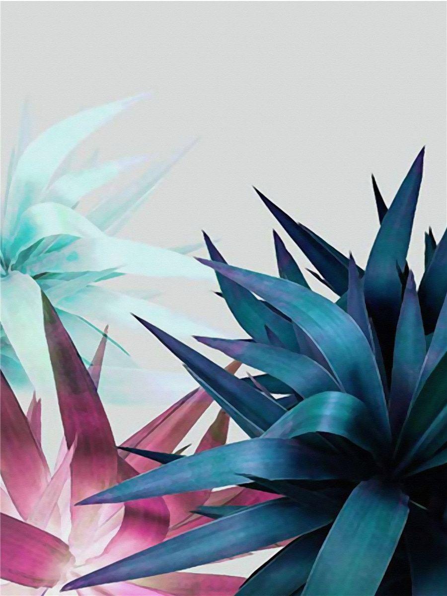 Agave Wallpapers - Top Free Agave Backgrounds - WallpaperAccess