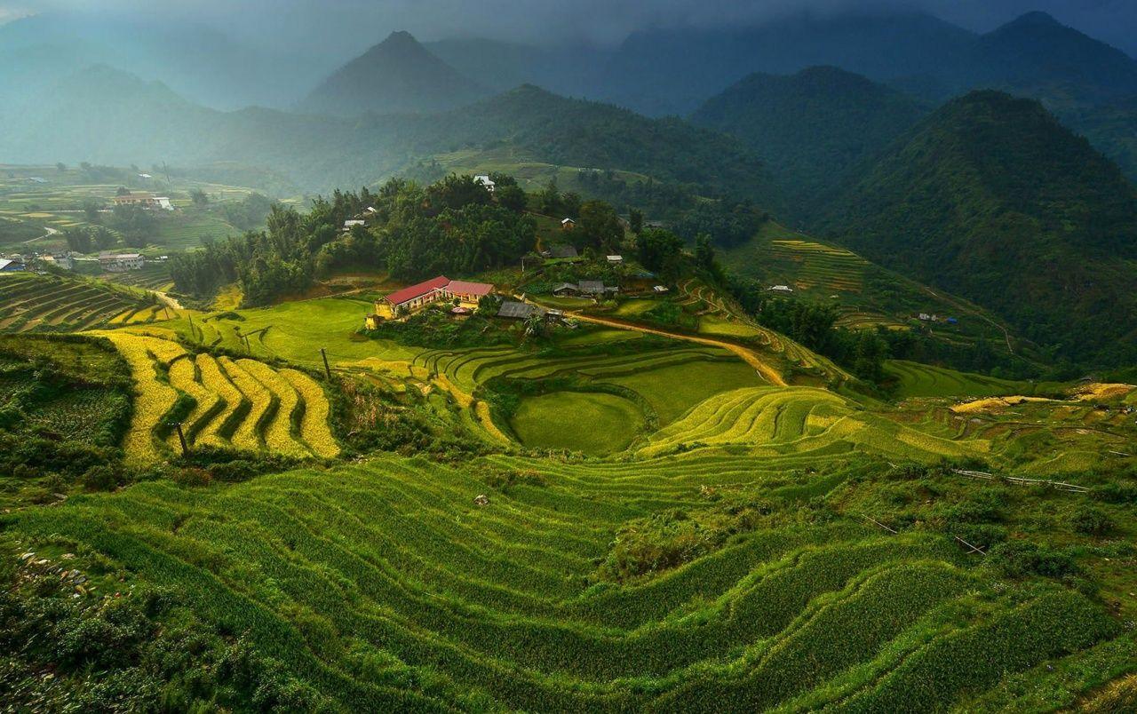 Rice Wallpapers - Top Free Rice Backgrounds - WallpaperAccess