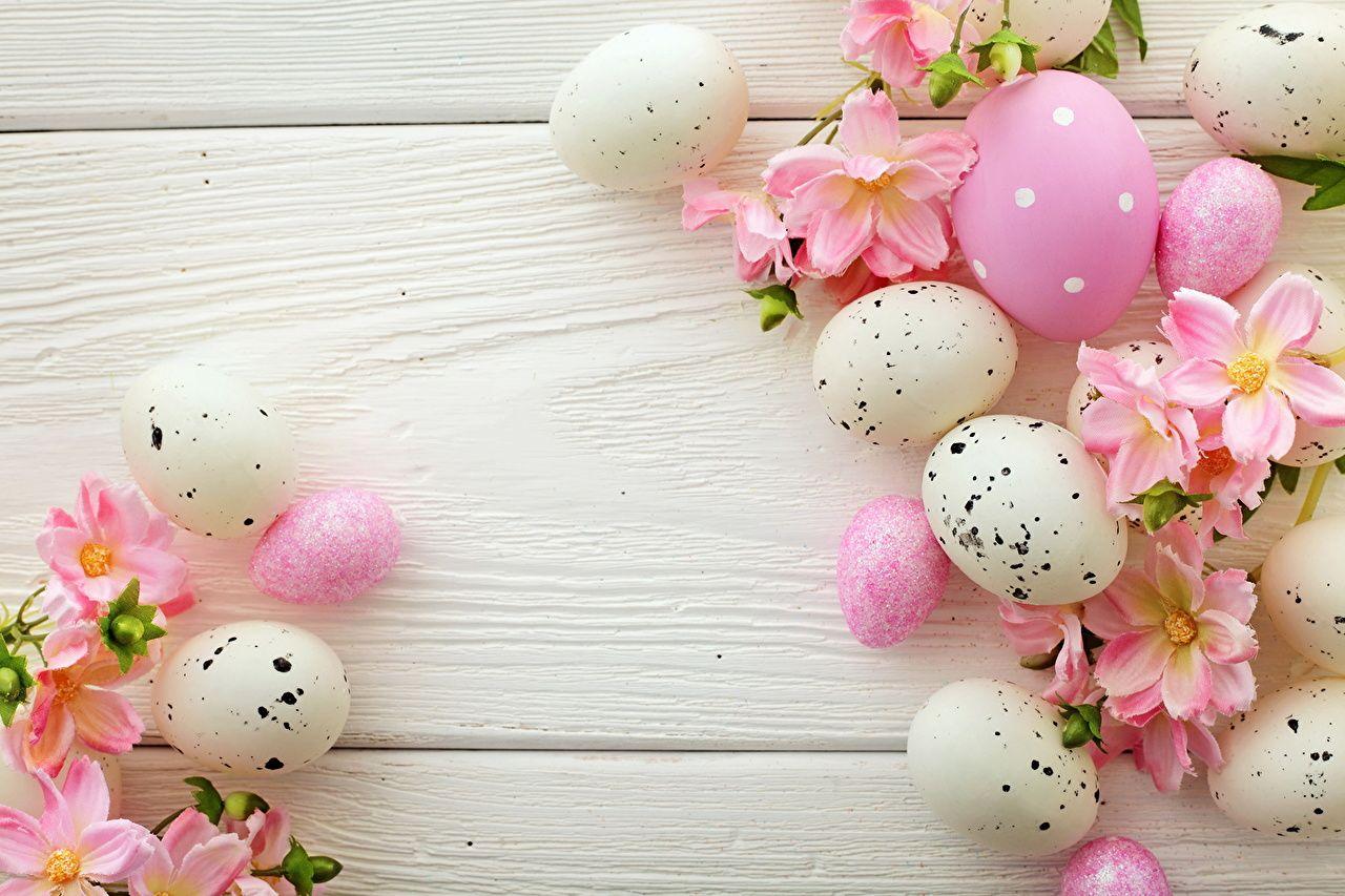 Easter Eggs Wallpapers - Top Free Easter Eggs Backgrounds - WallpaperAccess