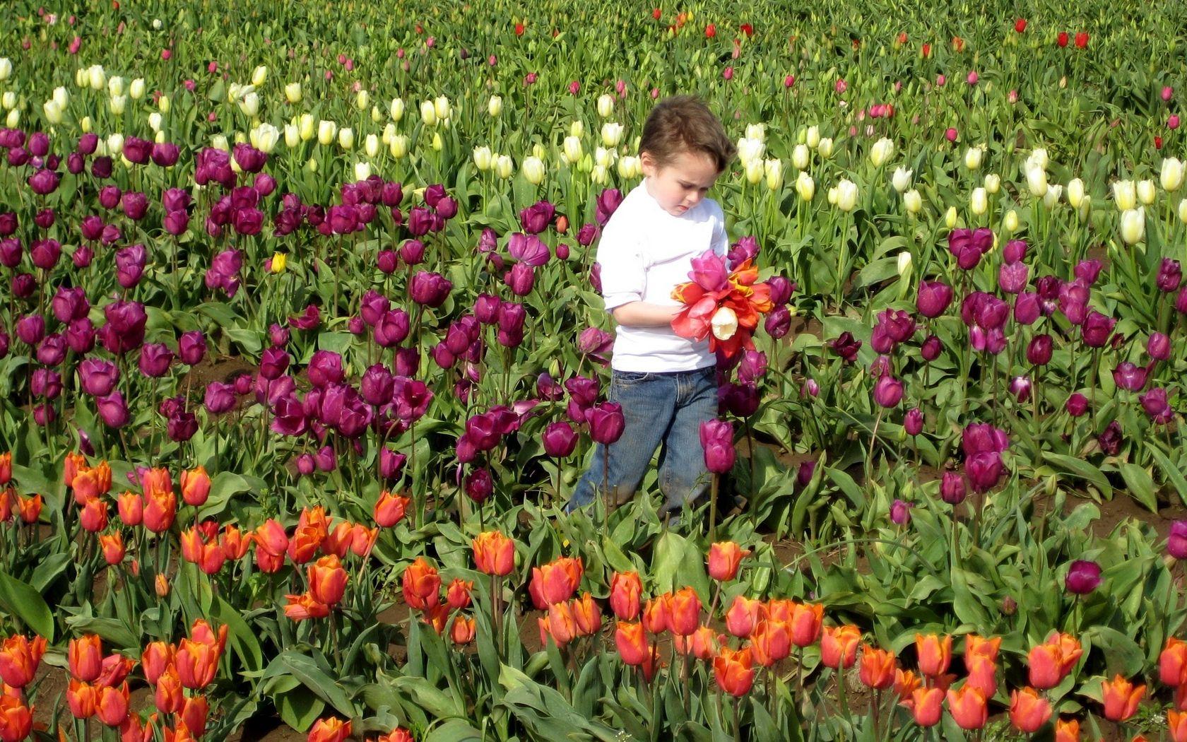 Flower Boy Wallpapers - Top Free Flower Boy Backgrounds - WallpaperAccess