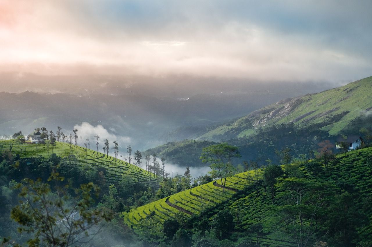 Idukki Wallpapers - Top Free Idukki Backgrounds - WallpaperAccess