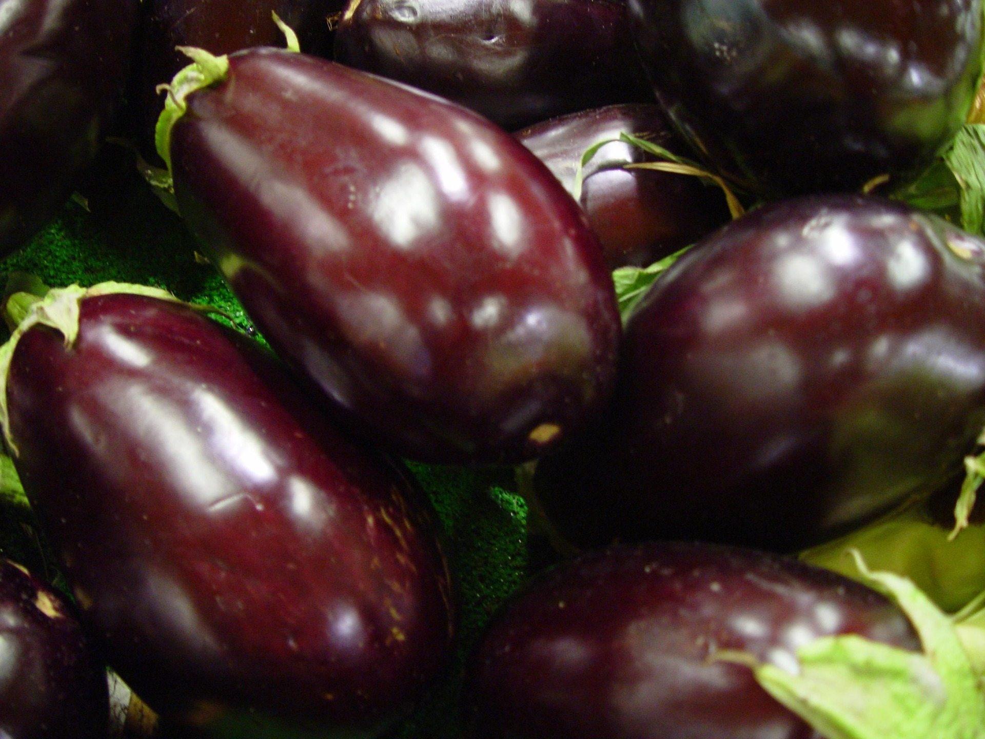 Eggplant Wallpapers - Top Free Eggplant Backgrounds - WallpaperAccess