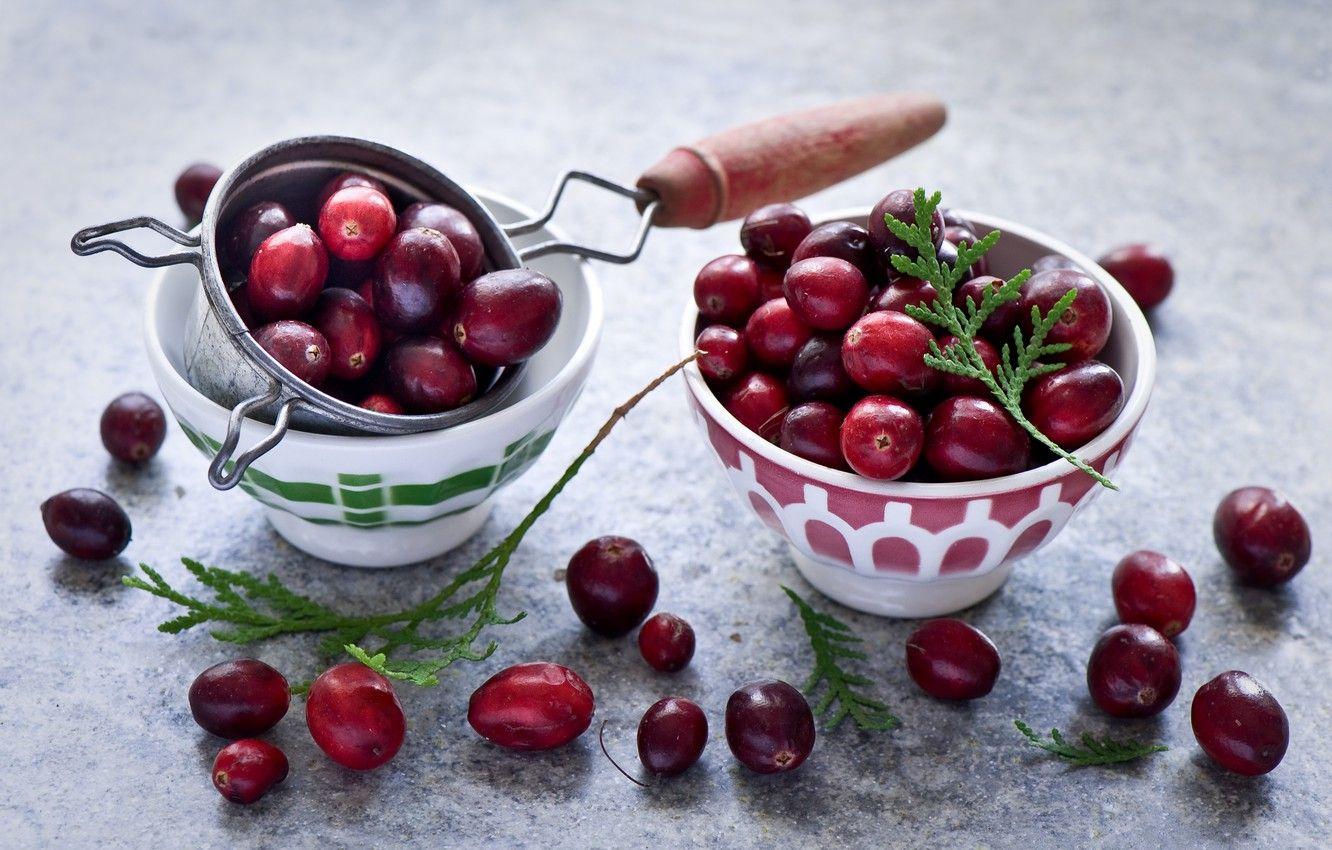 Cranberry Wallpapers - Top Free Cranberry Backgrounds - WallpaperAccess