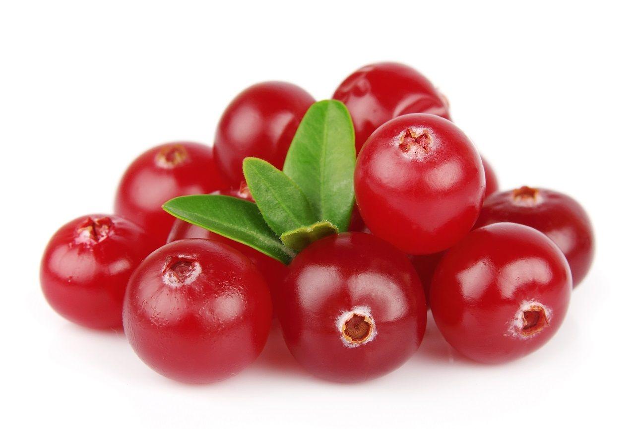 Cranberry Wallpapers - Top Free Cranberry Backgrounds - WallpaperAccess