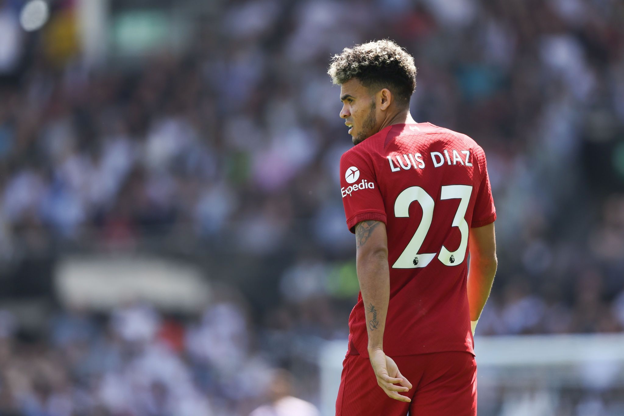 Luiz Diaz Wallpapers - Top Free Luiz Diaz Backgrounds - WallpaperAccess