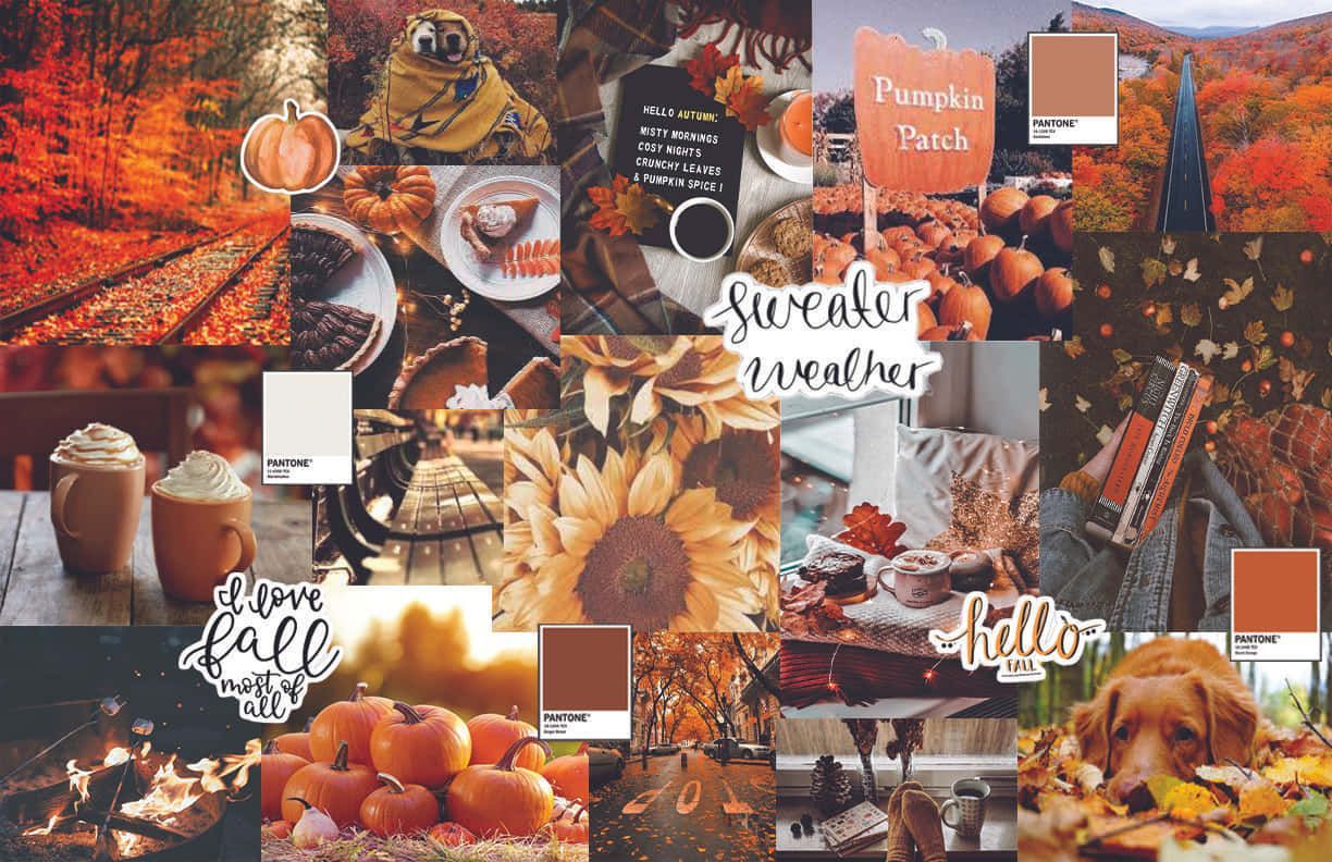 Aesthetic Fall Collage Wallpapers - Top Free Aesthetic Fall Collage ...